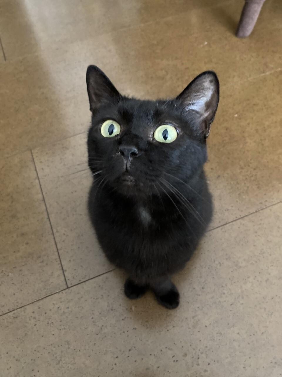 Sumiのページ | YAMAP / ヤマップ