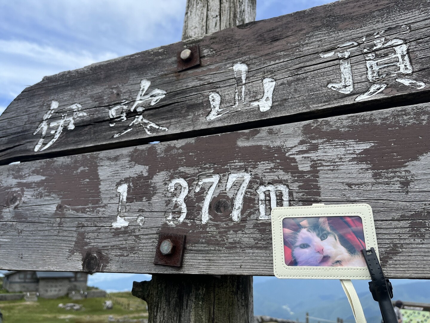 徳蔵山・伊吹山・なっくんと共にR4-33(通算136) / なっくんさんの伊吹山・伊吹高原・御座峰の活動データ | YAMAP / ヤマップ