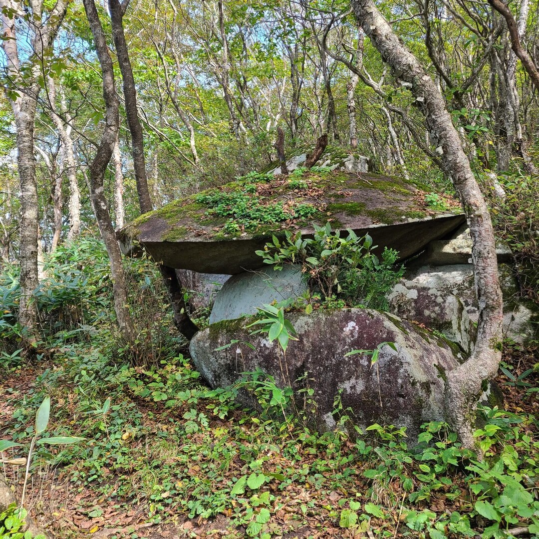 岩手 姫神山 / hide-bonさんの二ツ森の活動データ | YAMAP / ヤマップ