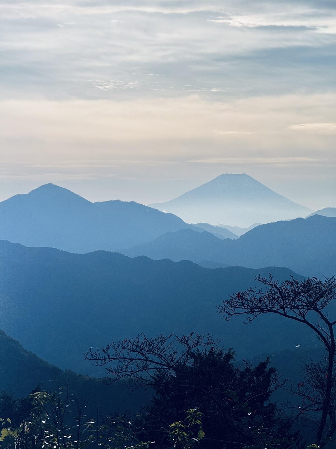 冬の澄んだ空気 富士山解像度ヤバいです陣馬山→高尾山 / SS Mt.さんの高尾山・陣馬山・景信山の活動データ | YAMAP / ヤマップ