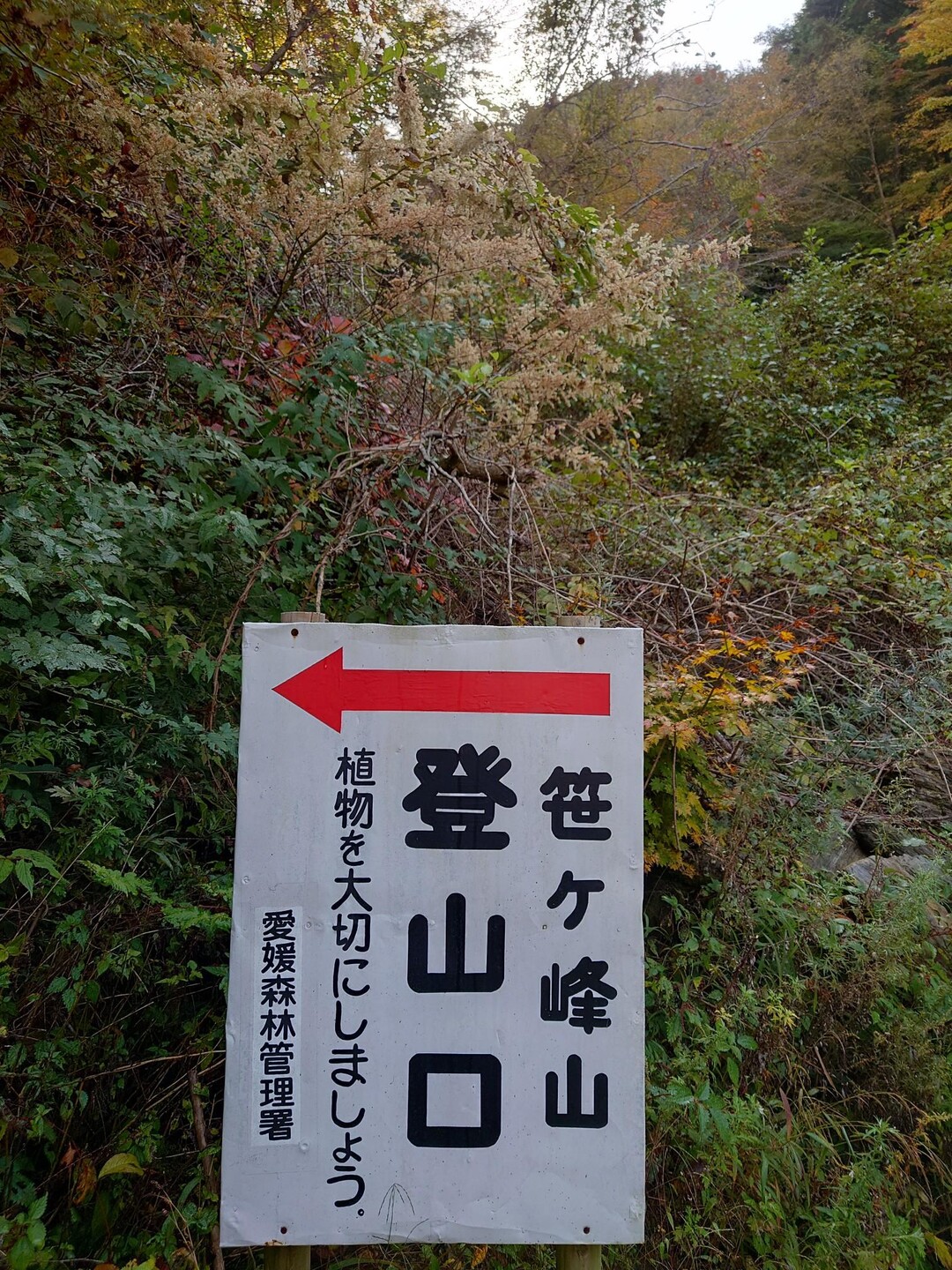 笹ヶ峰 / Richさんの笹ヶ峰・寒風山・平家平の活動データ | YAMAP / ヤマップ