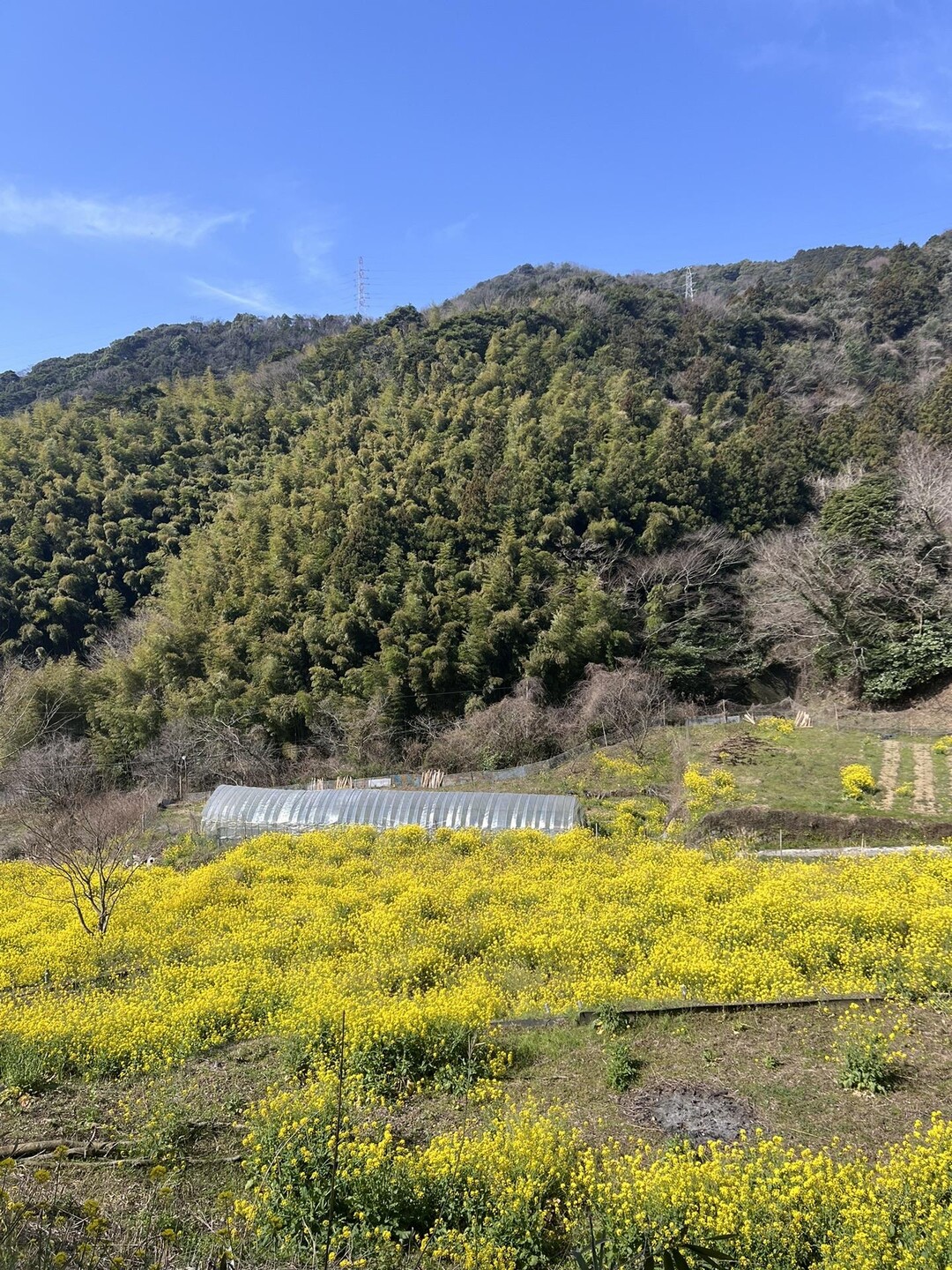 竜ヶ鼻 / Madoka さんの竜ヶ鼻の活動データ | YAMAP / ヤマップ