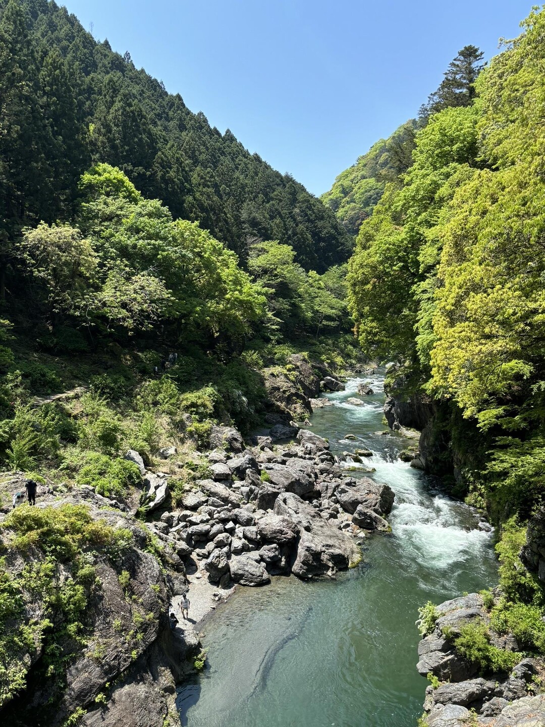大多摩トレイル（鳩ノ巣〜奥多摩）-2024-04-28 / Longさんのウォーキングの活動データ | YAMAP / ヤマップ