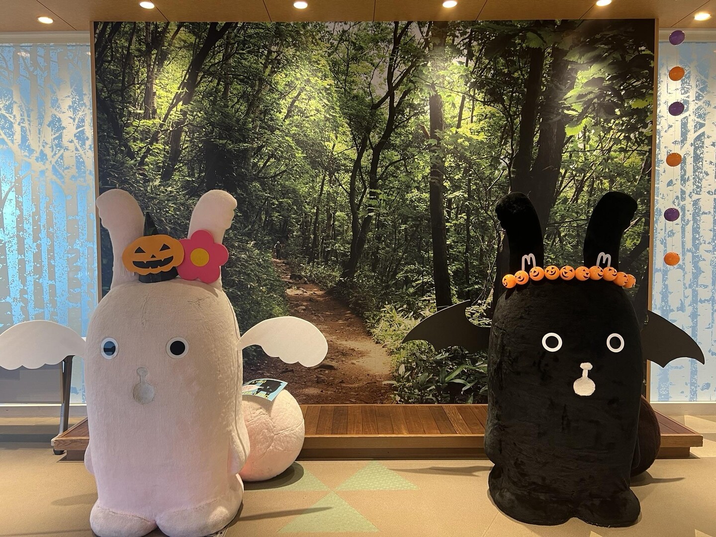 藻岩山ᨒ𖡼.𖤣𖥧࿉࿉࿉ / rukiさんの藻岩山の活動日記 | YAMAP / ヤマップ