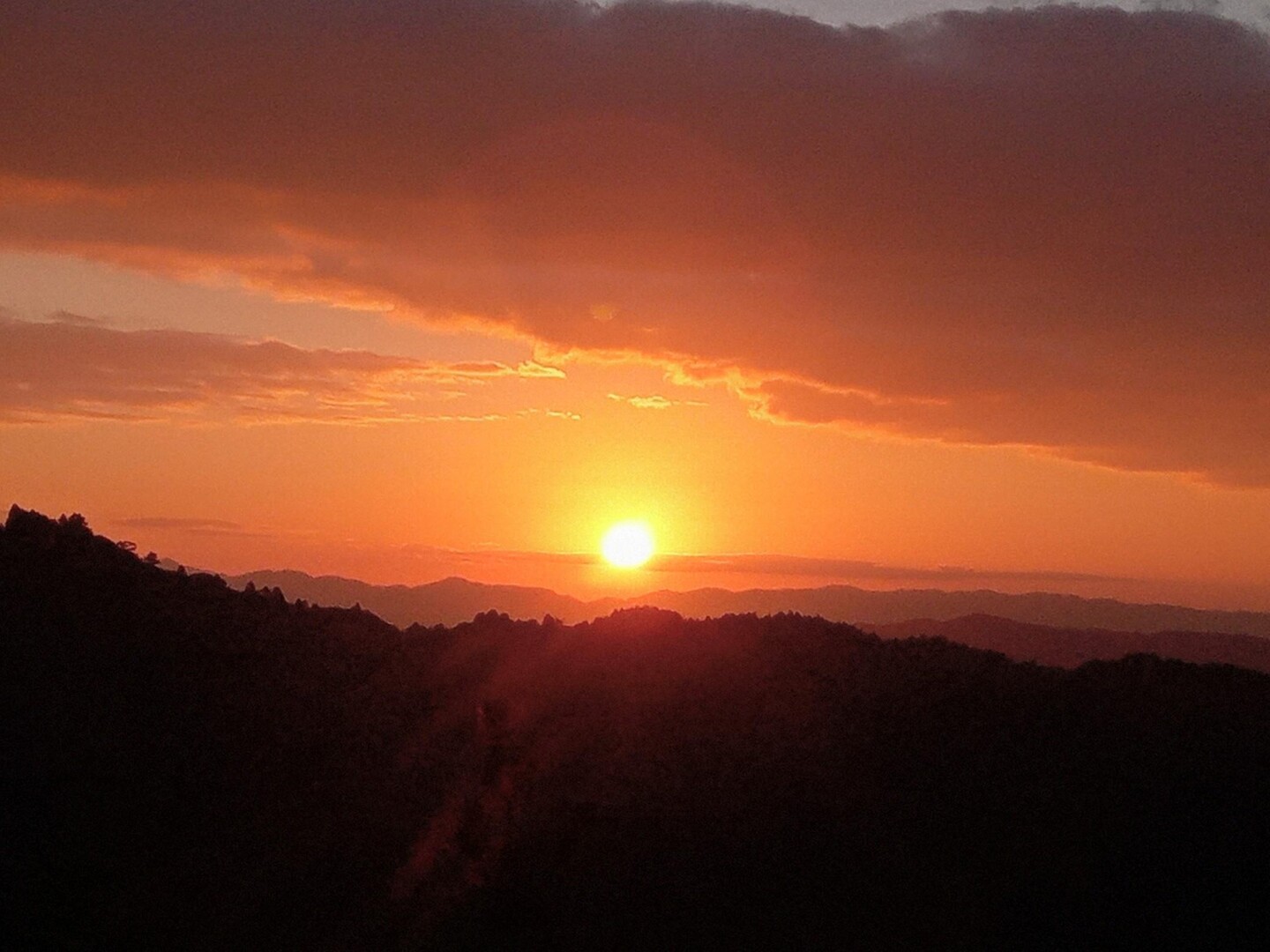 bambooさんの投稿したフィールドメモ | YAMAP / ヤマップ