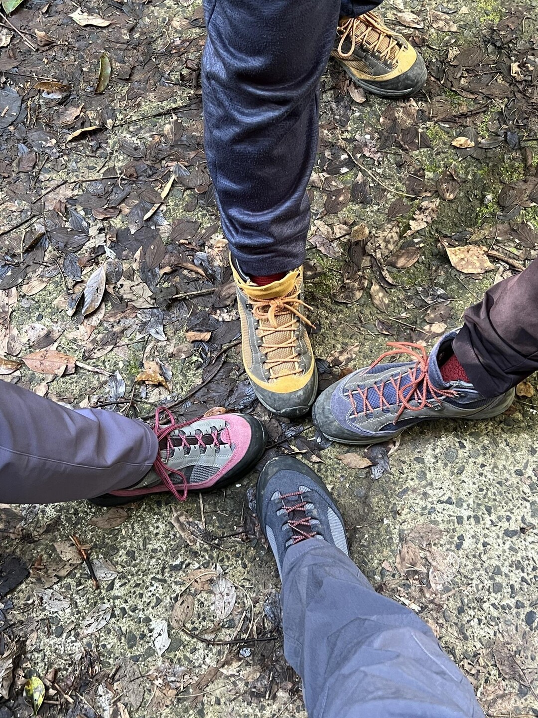 P325・中嶽・磯間嶽 / いけちゃんさんの磯間嶽の活動データ | YAMAP / ヤマップ