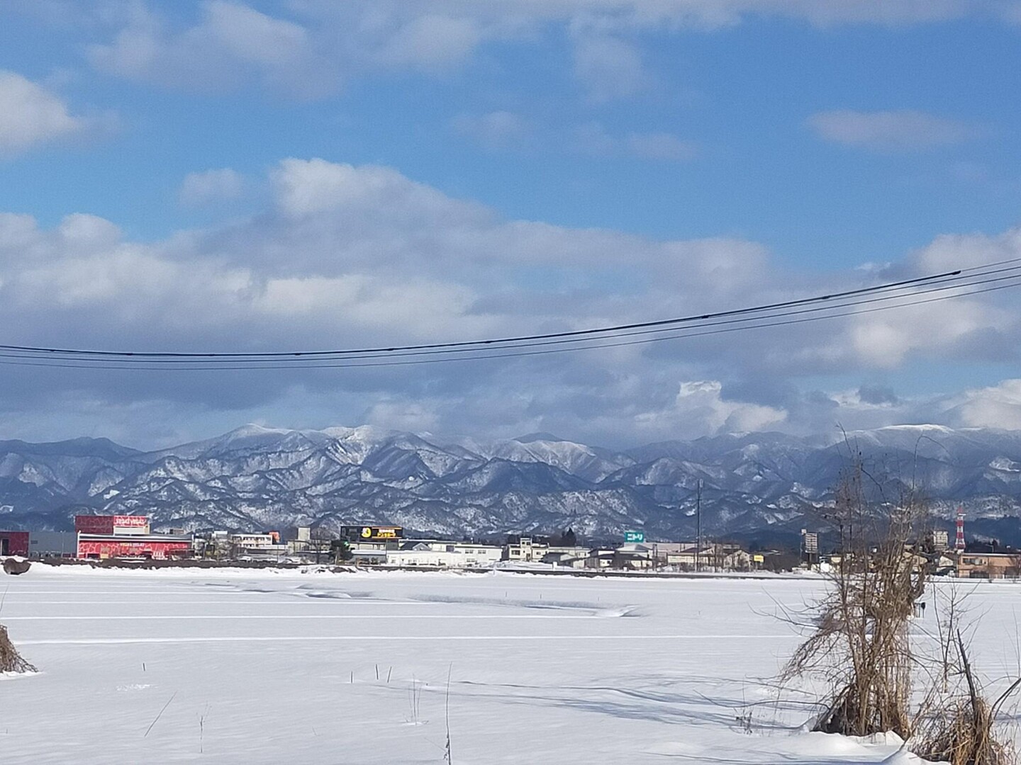 ご近所ウォーキング 鬼面川緑地 / Tarzanワタナベさんのウォーキングの活動データ | YAMAP / ヤマップ