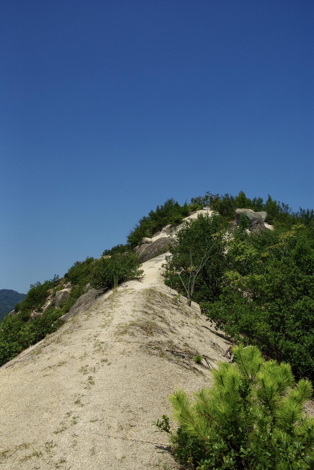 岩子島（殿山・西岩岳・東岩岳） / kbさんの瀬戸内しまなみ海道 北エリアの活動データ | YAMAP / ヤマップ