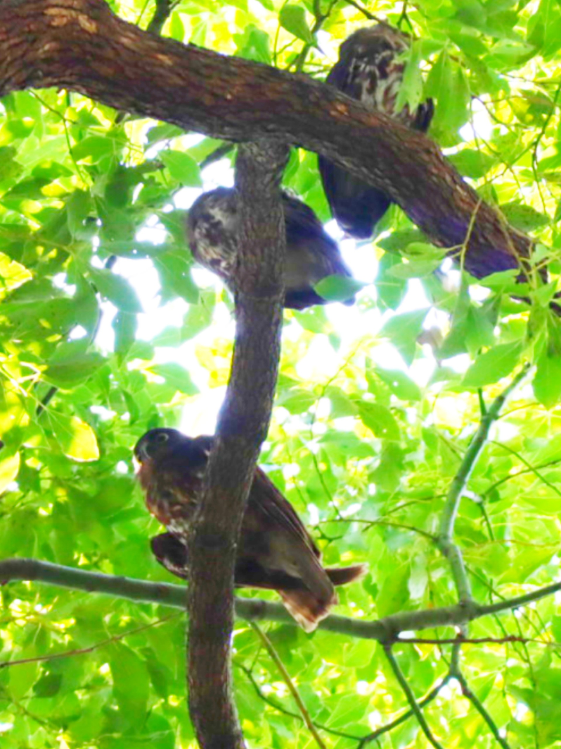 2021/ 8/ 2 mon お友達と... / emiyさんのモーメント | YAMAP / ヤマップ