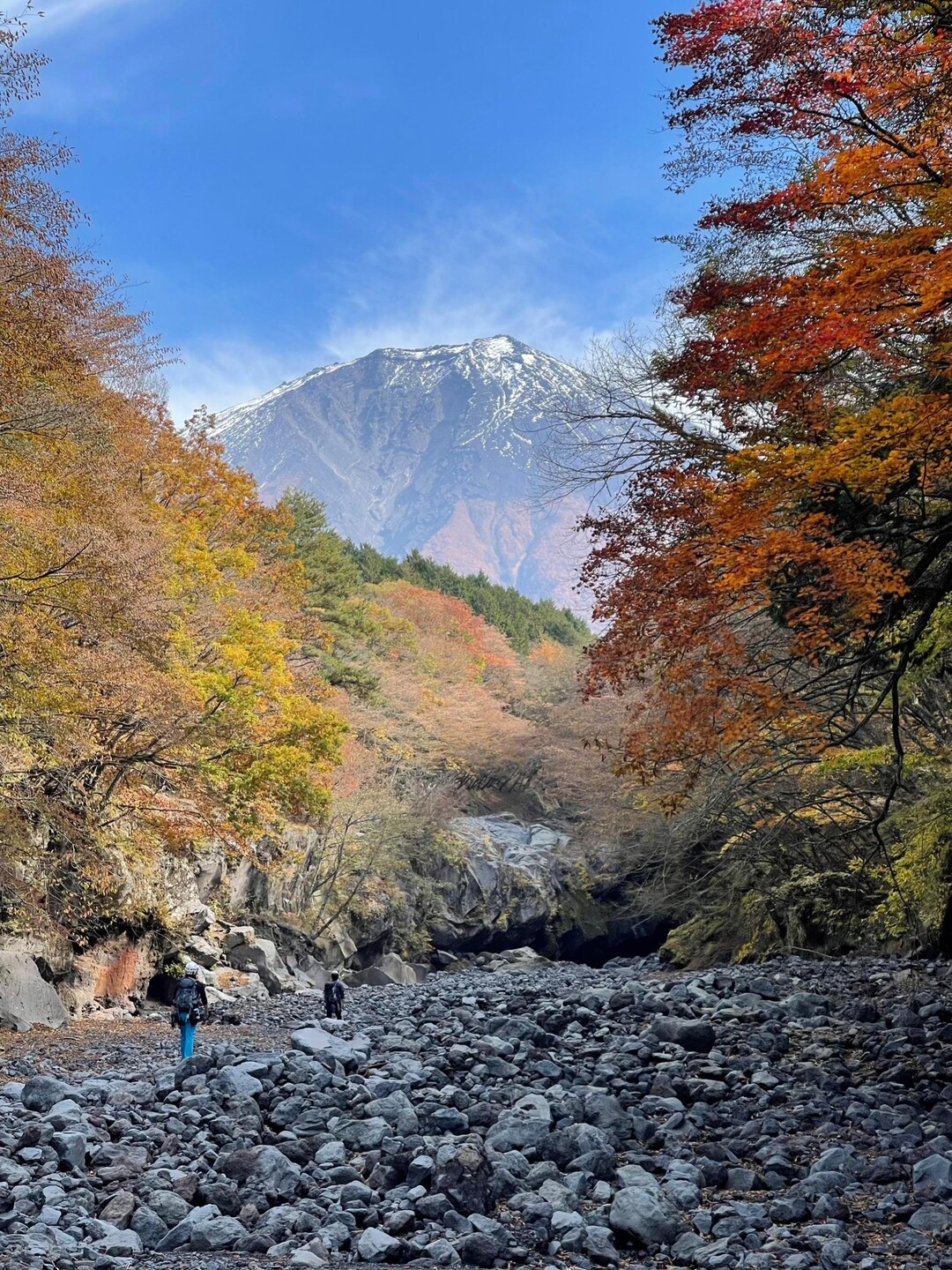 富士山 大沢(潤井川) / yasutakaさんのウォーキングの活動データ | YAMAP / ヤマップ