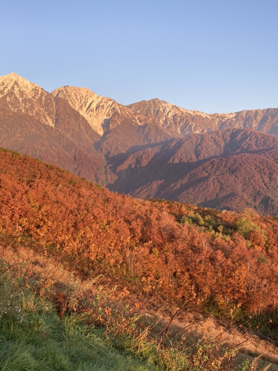 ya koのページ | YAMAP / ヤマップ