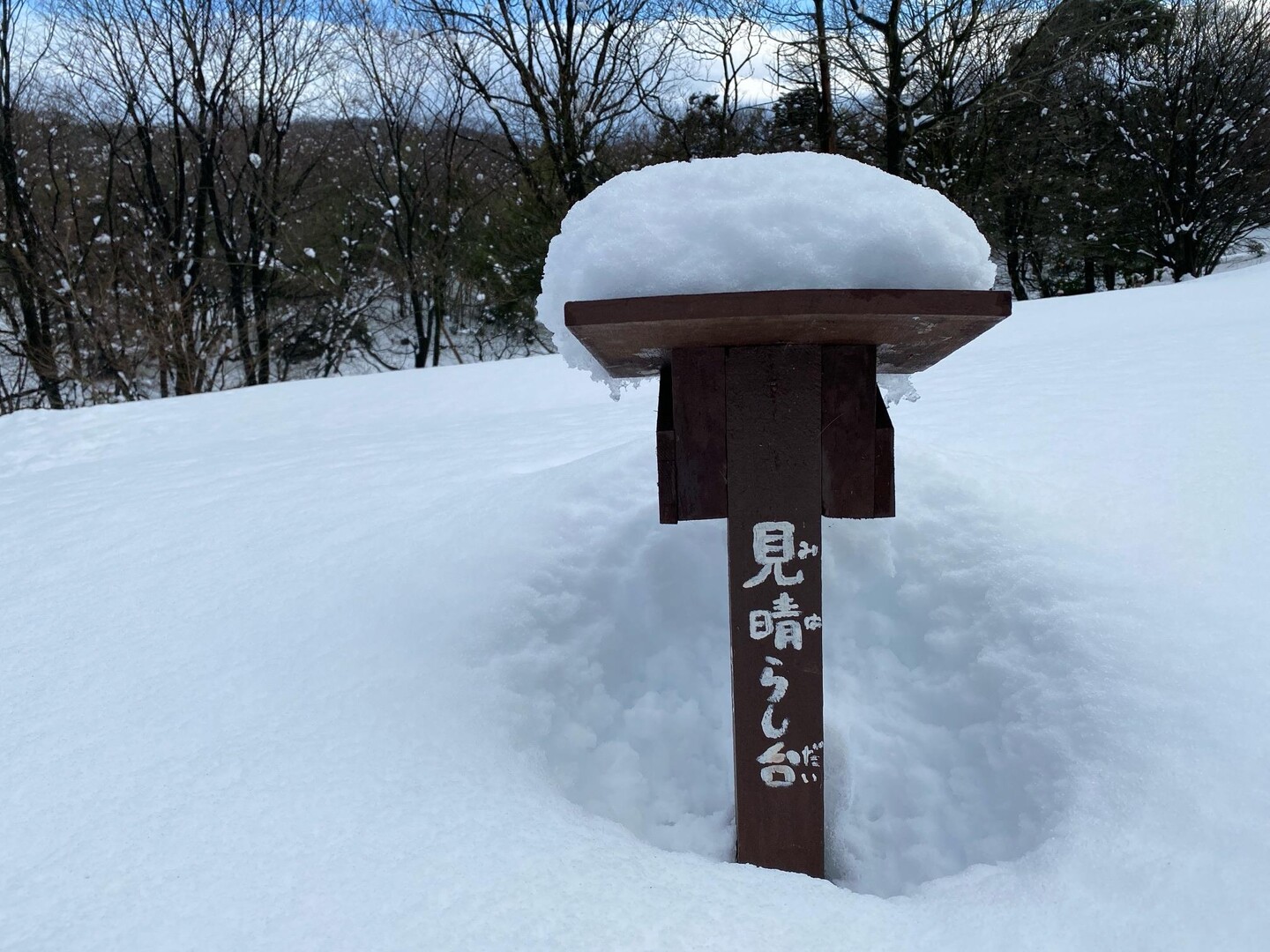 FP裏ラッセル-2023-12-23 / ぴのこ🐽さんの呉羽山・城山の活動データ | YAMAP / ヤマップ
