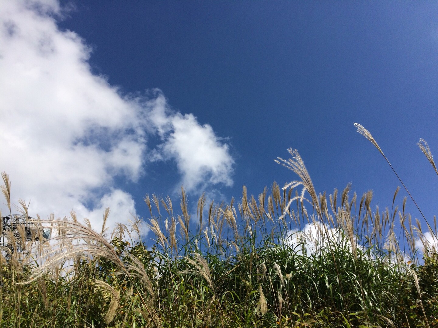 初秋の六甲山へ / kossy（characo）さんの六甲山・長峰山・摩耶山の活動データ | YAMAP / ヤマップ