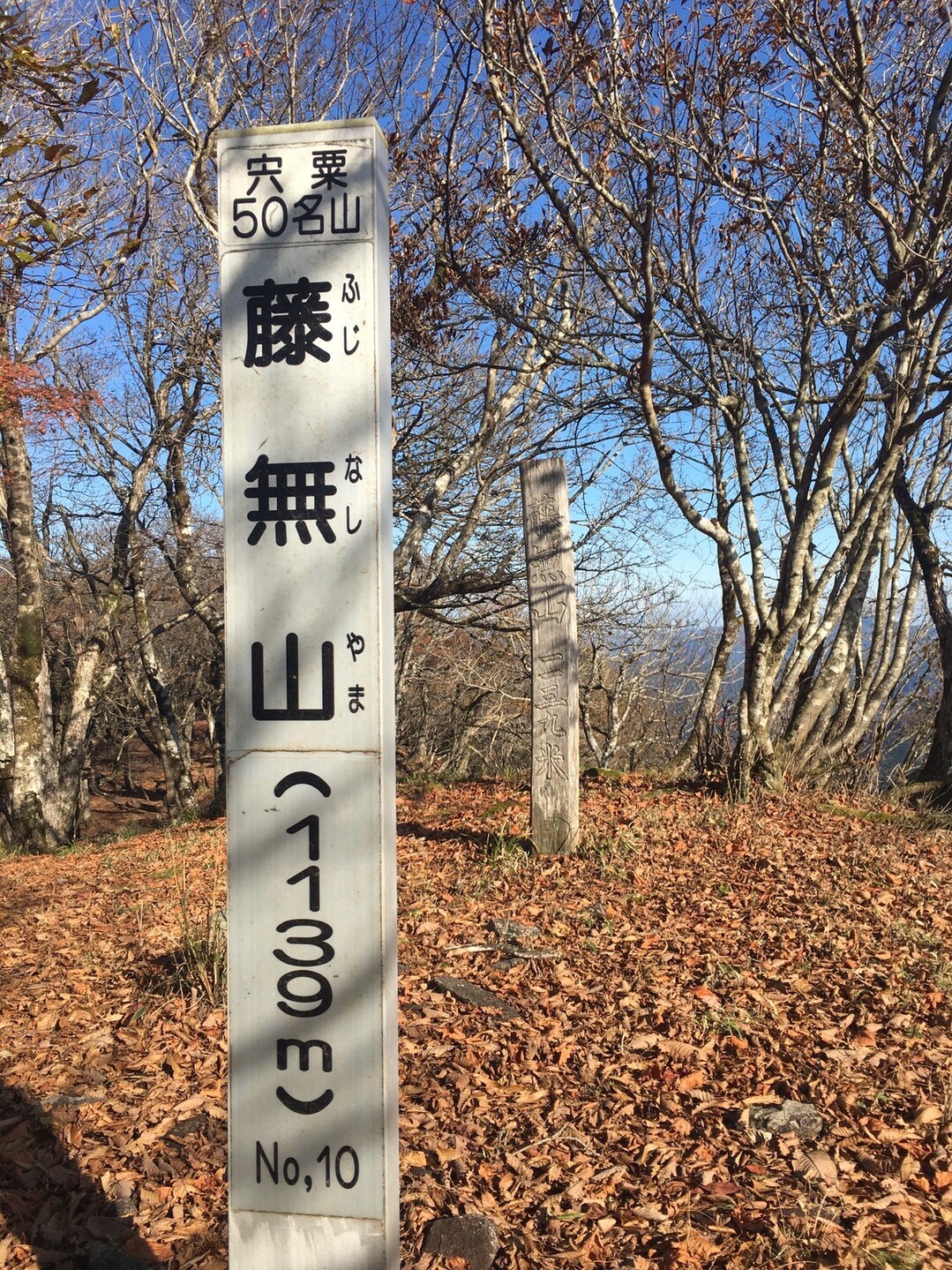 藤無山-2019-11-09 / Traciさんの藤無山の活動データ | YAMAP / ヤマップ