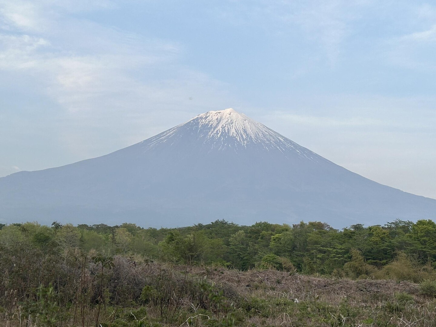 【DNF】世にも不思議なUTMF2023 / tomokiさんのトレイルランニングの活動データ | YAMAP / ヤマップ