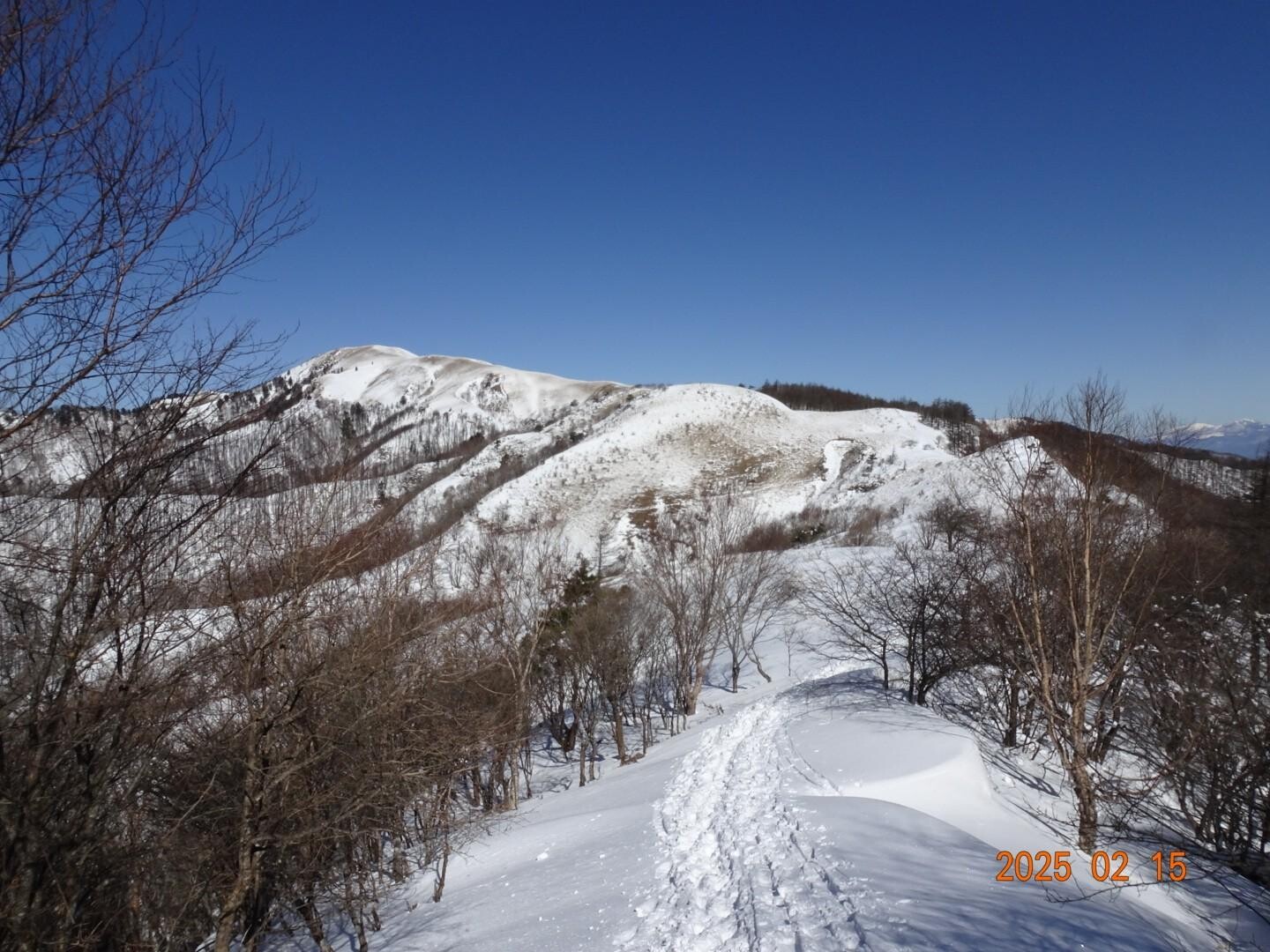 三峰山 / かなさんの鉢伏山・高ボッチ山・三峰山の活動データ | YAMAP / ヤマップ