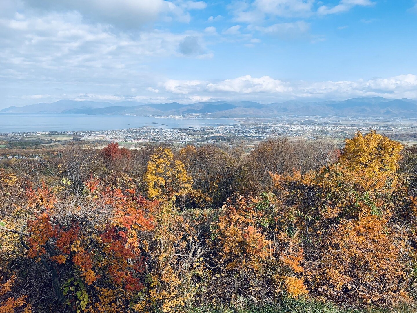 岩内岳 / hidekingさんの目国内岳・雷電山の活動データ | YAMAP / ヤマップ