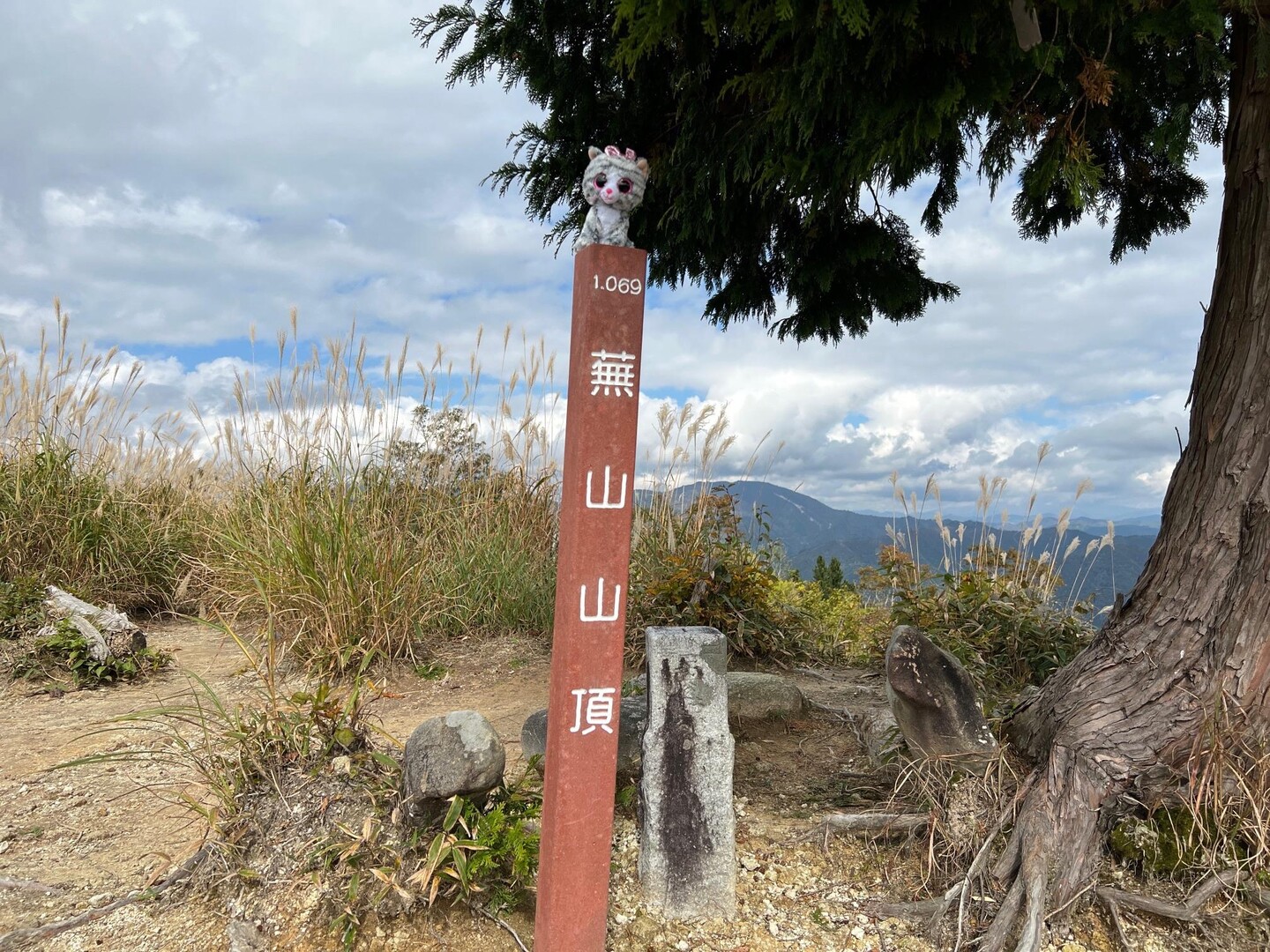 蕪山 / ISSEIさんの蕪山の活動データ | YAMAP / ヤマップ