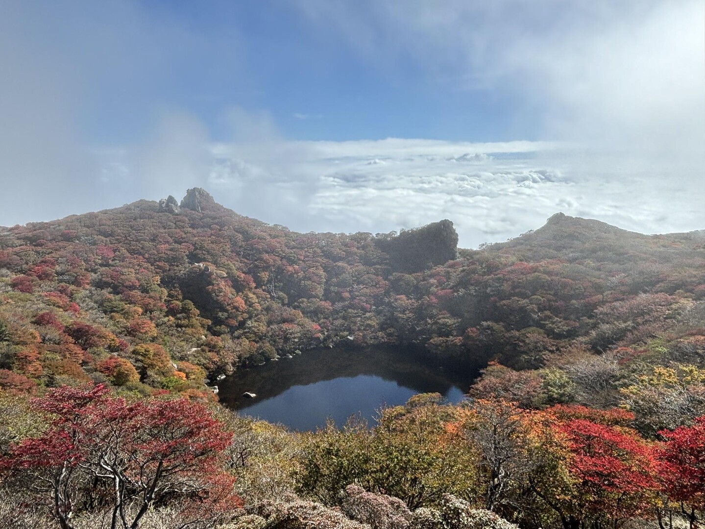 池窪登山口より大船山・北大船山 / きのこさんの九重山（久住山）・大船山・星生山の活動データ | YAMAP / ヤマップ