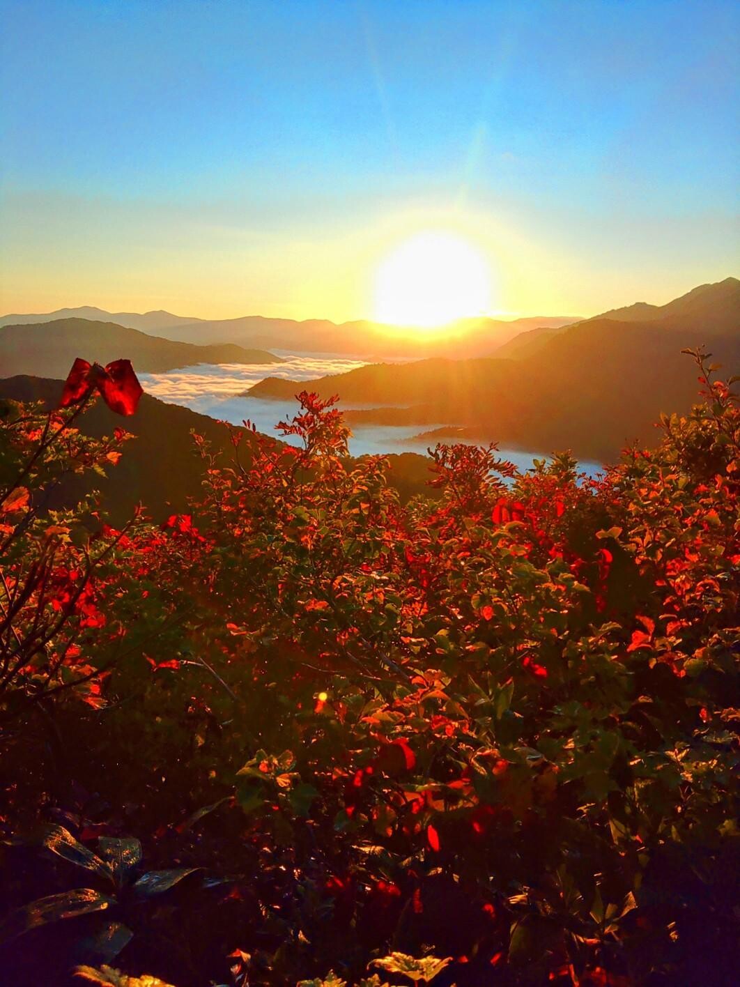 越後駒ヶ岳（裏越後三山周回） / つーたんさんの越後駒ヶ岳・八海山・中ノ岳の活動データ | YAMAP / ヤマップ