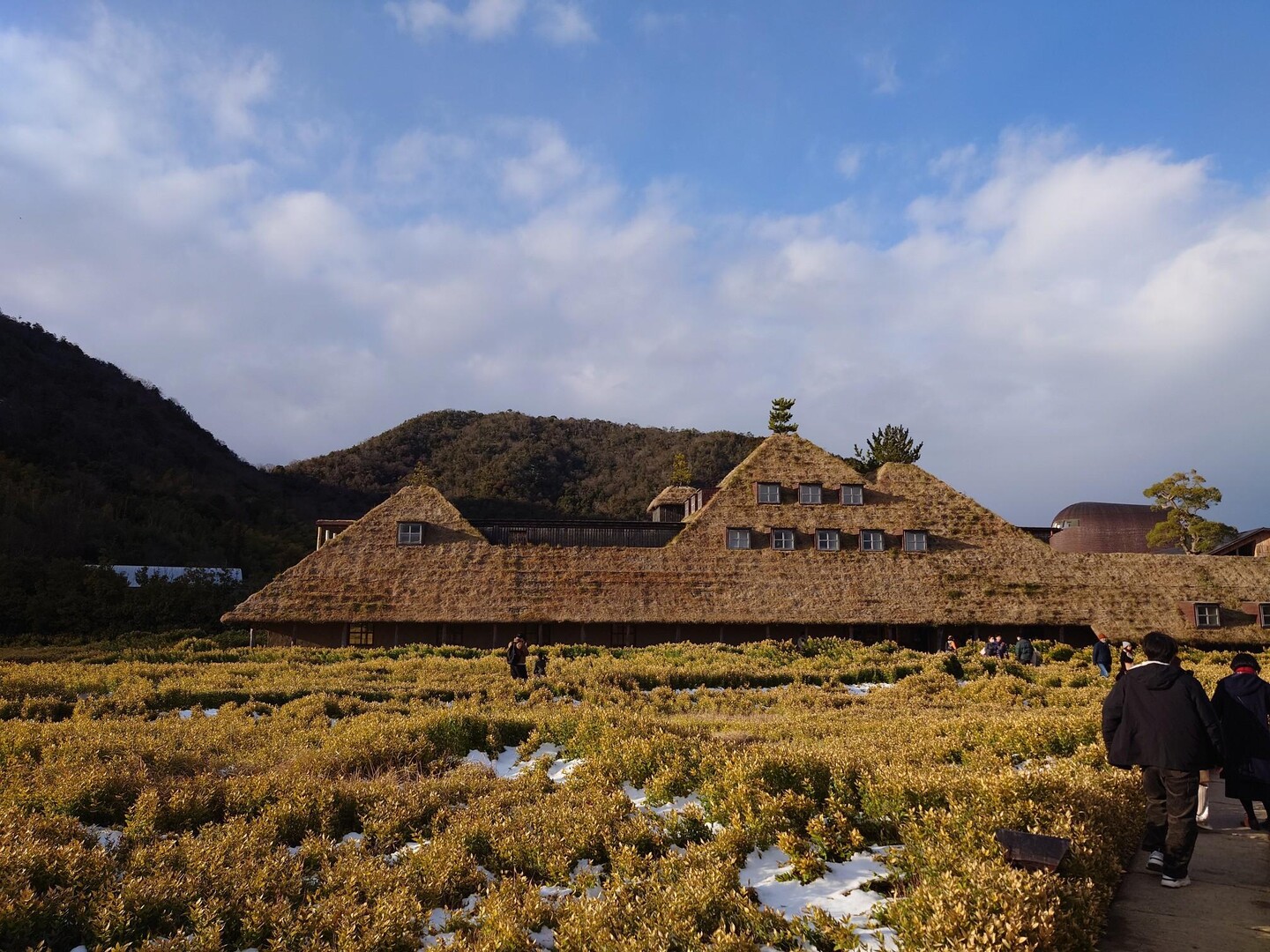 城山 / palさんの霊仙山の活動データ | YAMAP / ヤマップ