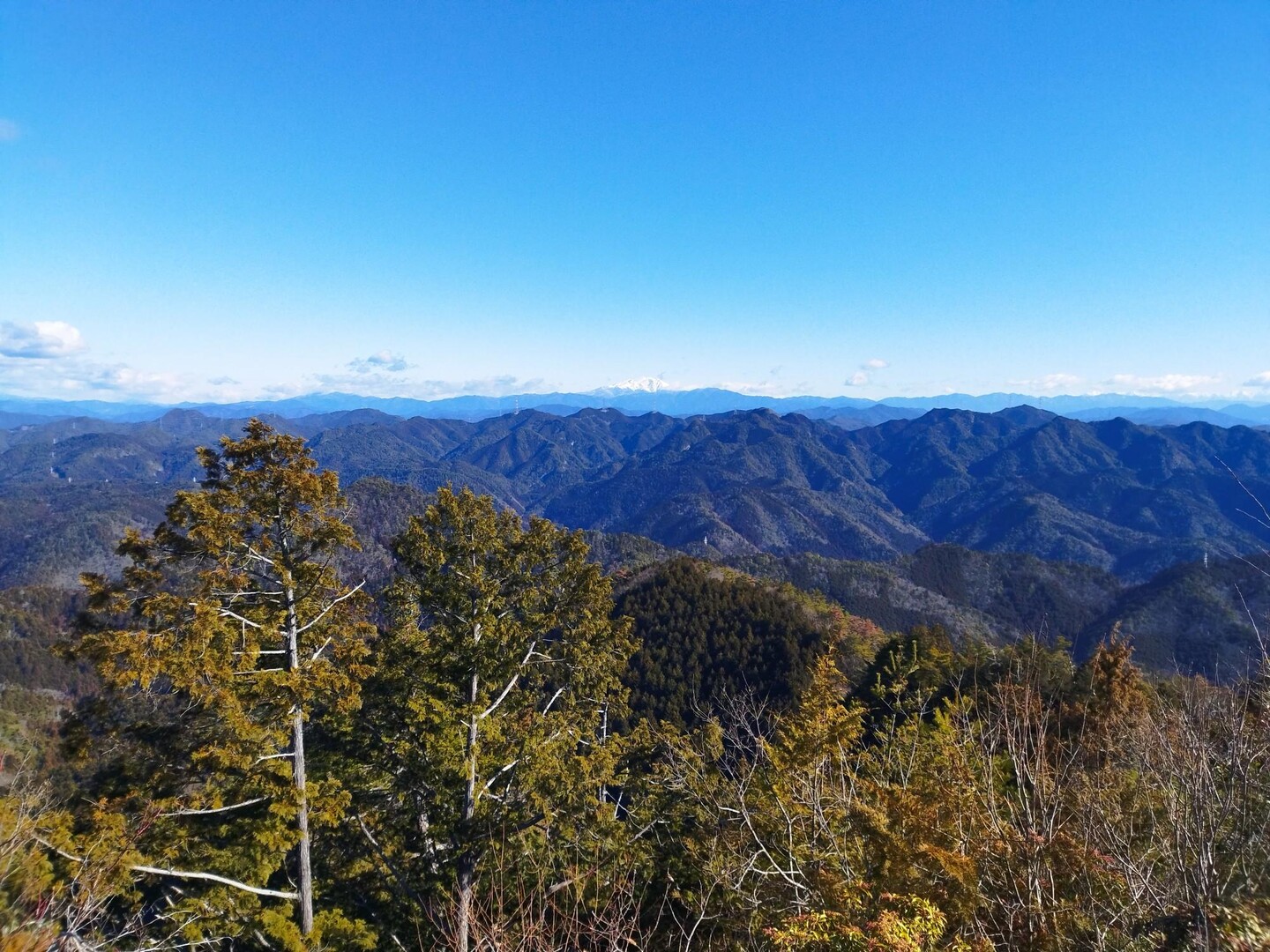 納古山 / のこのこさんの納古山の活動データ | YAMAP / ヤマップ