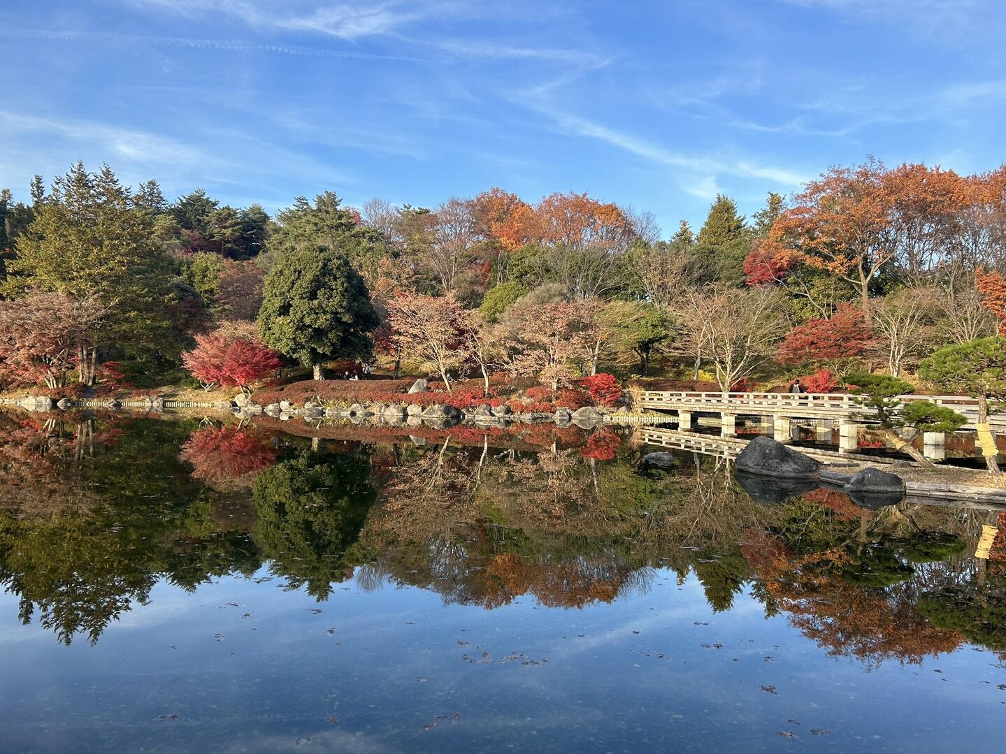 リハビリウォーキング🚶昭和記念公園 / kozyさんのウォーキングの活動データ | YAMAP / ヤマップ