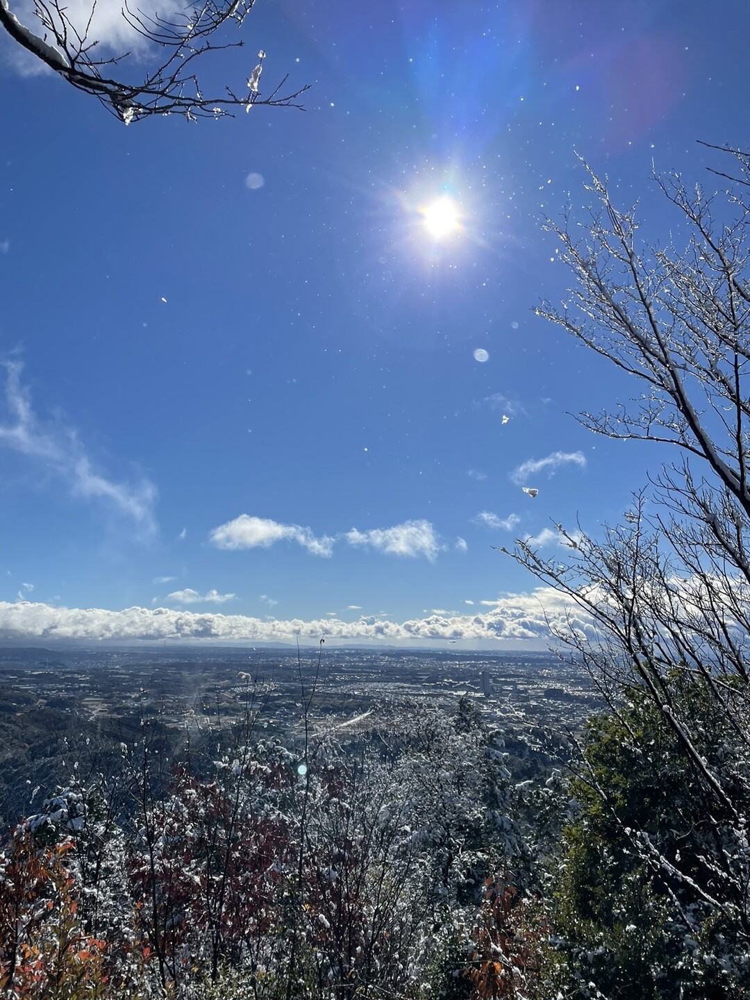 登り納めは尾張本宮山⛄️ / kaz♡mealさんの尾張富士・尾張本宮山・尾張白山の活動日記 | YAMAP / ヤマップ