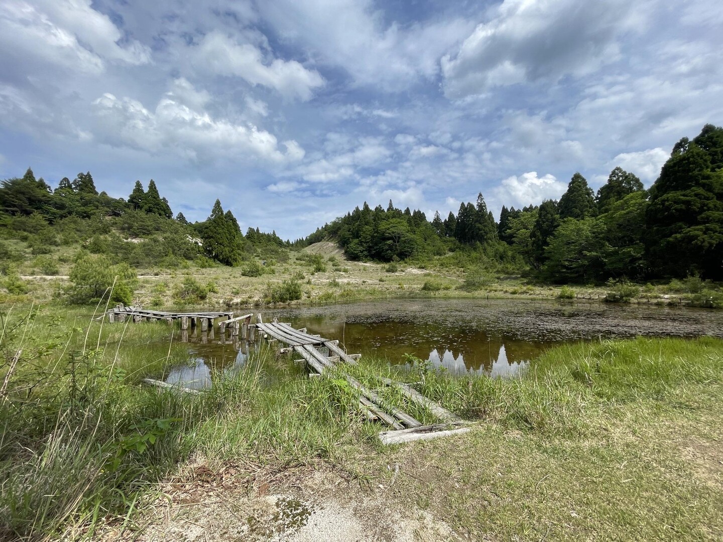 コヤマノ岳・武奈ヶ岳・前山 / trさんの比良山地・武奈ヶ岳・釈迦岳の活動データ | YAMAP / ヤマップ