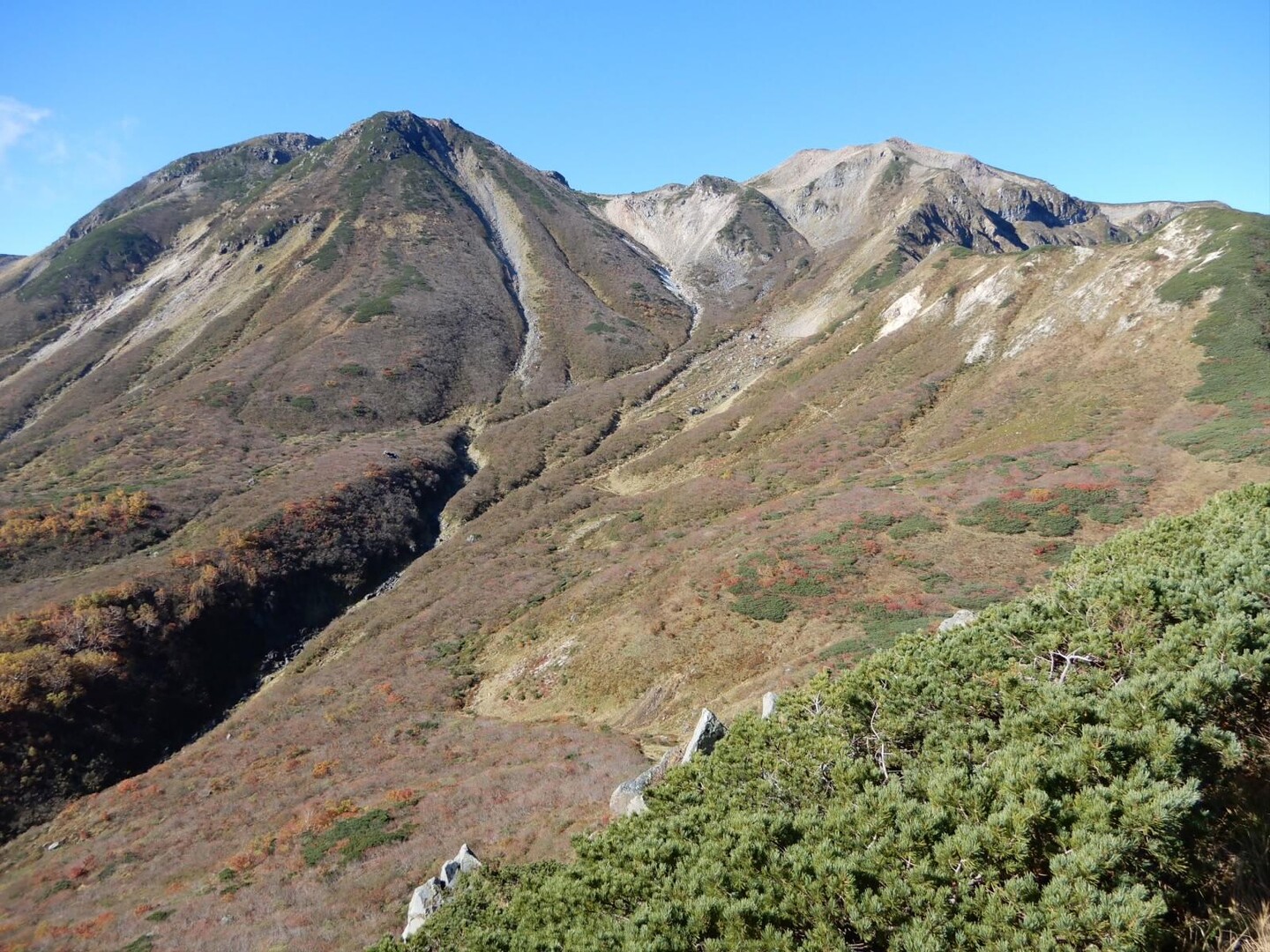 白山 お花松原（R06-5） / Ichiさんの白山・別山・銚子ヶ峰の活動データ | YAMAP / ヤマップ