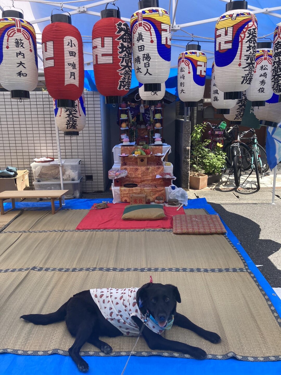 近所の地蔵盆 📝メモ: 「地蔵盆」は... / みかん🐕‍🦺🍊さんのモーメント | YAMAP / ヤマップ