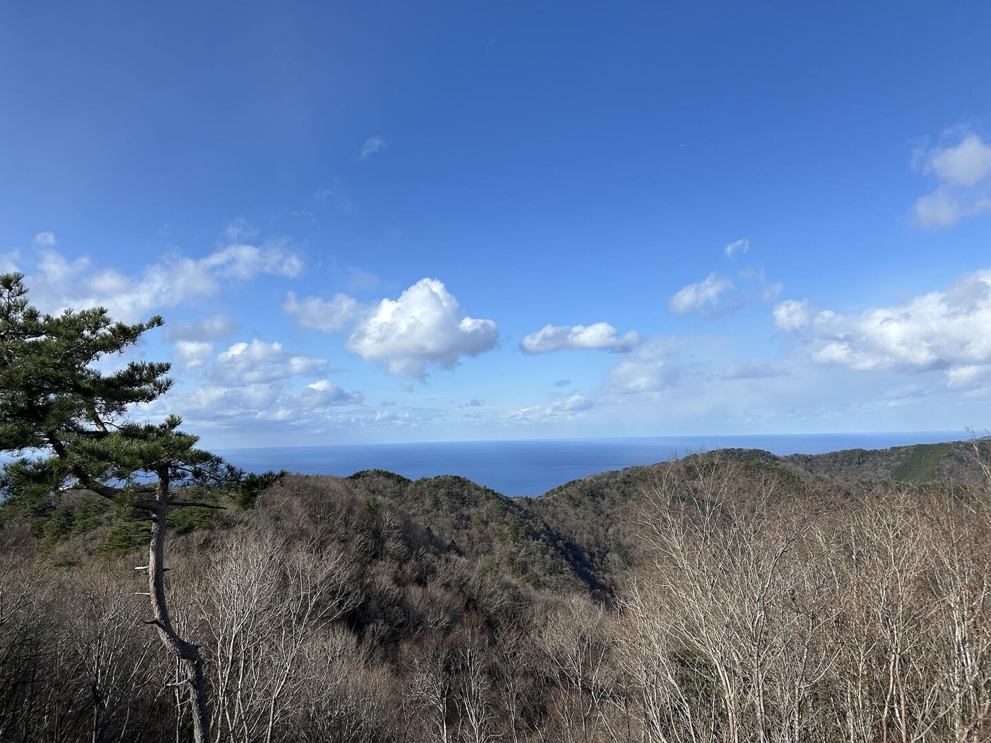 【福井・越前市】久しぶりの晴れ間に若須岳へ / くっすんさんの若須岳の活動データ | YAMAP / ヤマップ