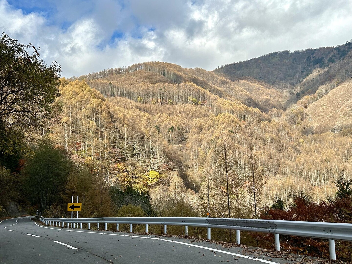 前国師岳・北奥千丈岳・国師ヶ岳 / Beniさんの乾徳山・黒金山の活動データ | YAMAP / ヤマップ