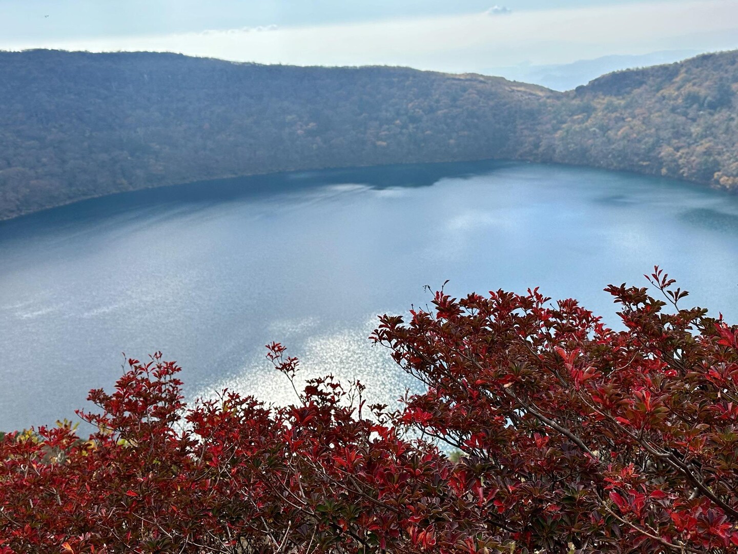 えびの高原の森から大浪池へ🚶‍♀️🚶... / やまぴーさんのモーメント | YAMAP / ヤマップ