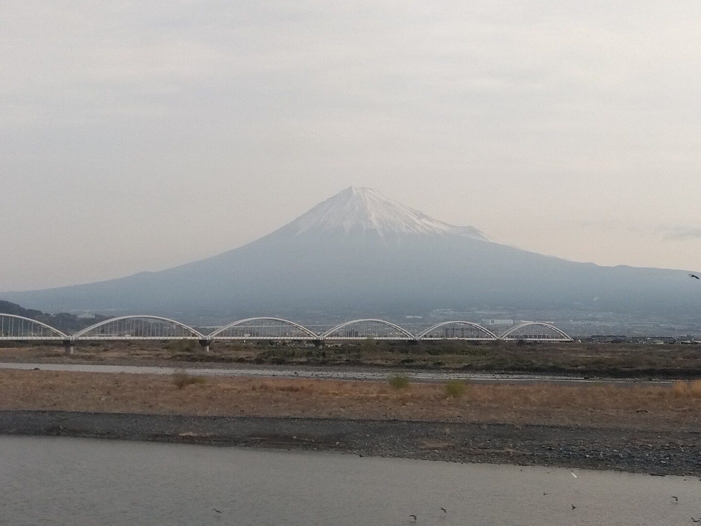 おはようございます😴今朝は静岡⇒三島移... / SIVASIVA2さんのモーメント | YAMAP / ヤマップ