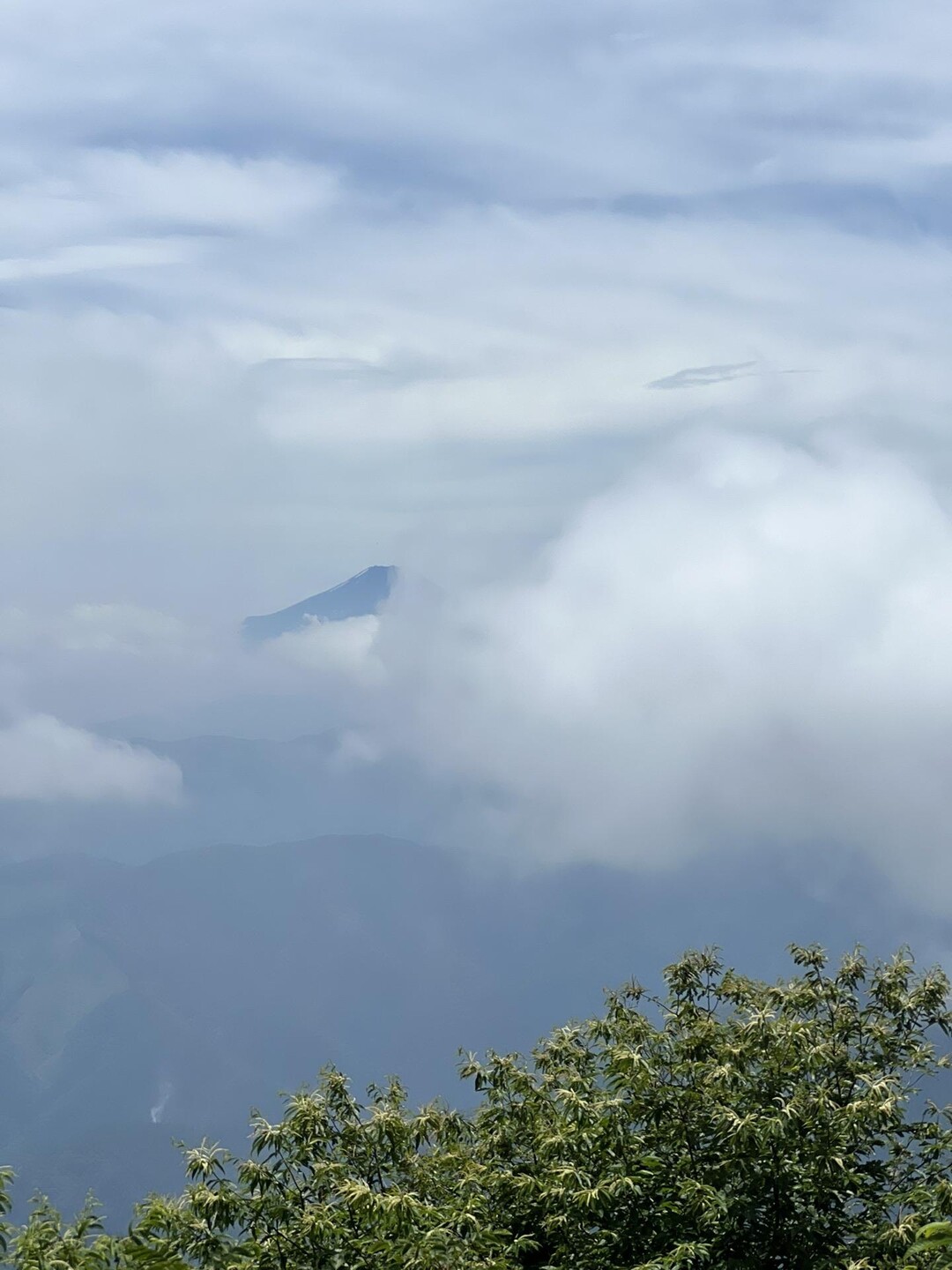 御岳山・大岳山・鋸山 縦走 / Leeさんの大岳山・御岳山・御前山の活動データ | YAMAP / ヤマップ