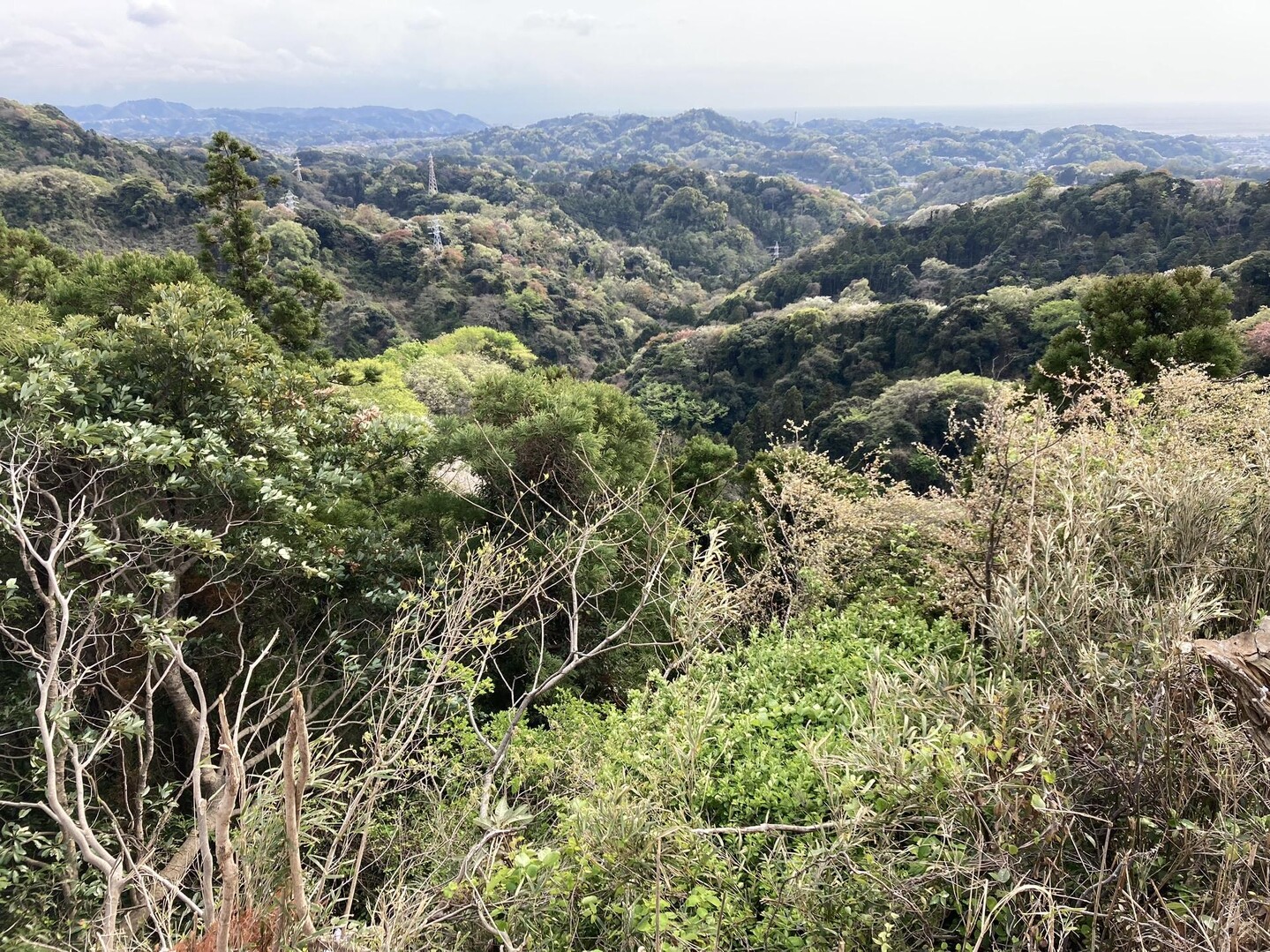 鎌倉グレートトラバース20km / れいじさんのウォーキングの活動データ | YAMAP / ヤマップ