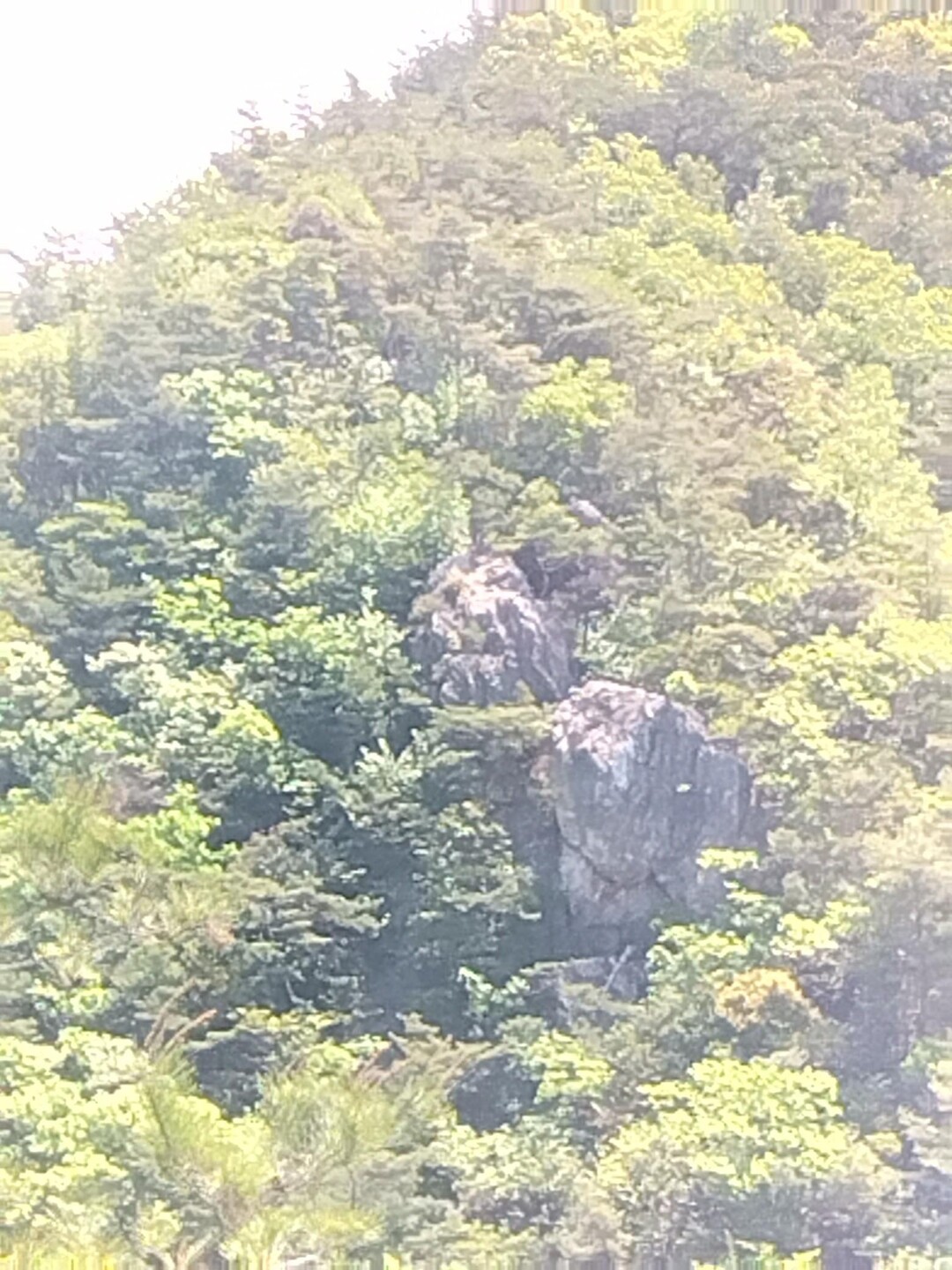 たかさんさんの投稿したフィールドメモ | YAMAP / ヤマップ