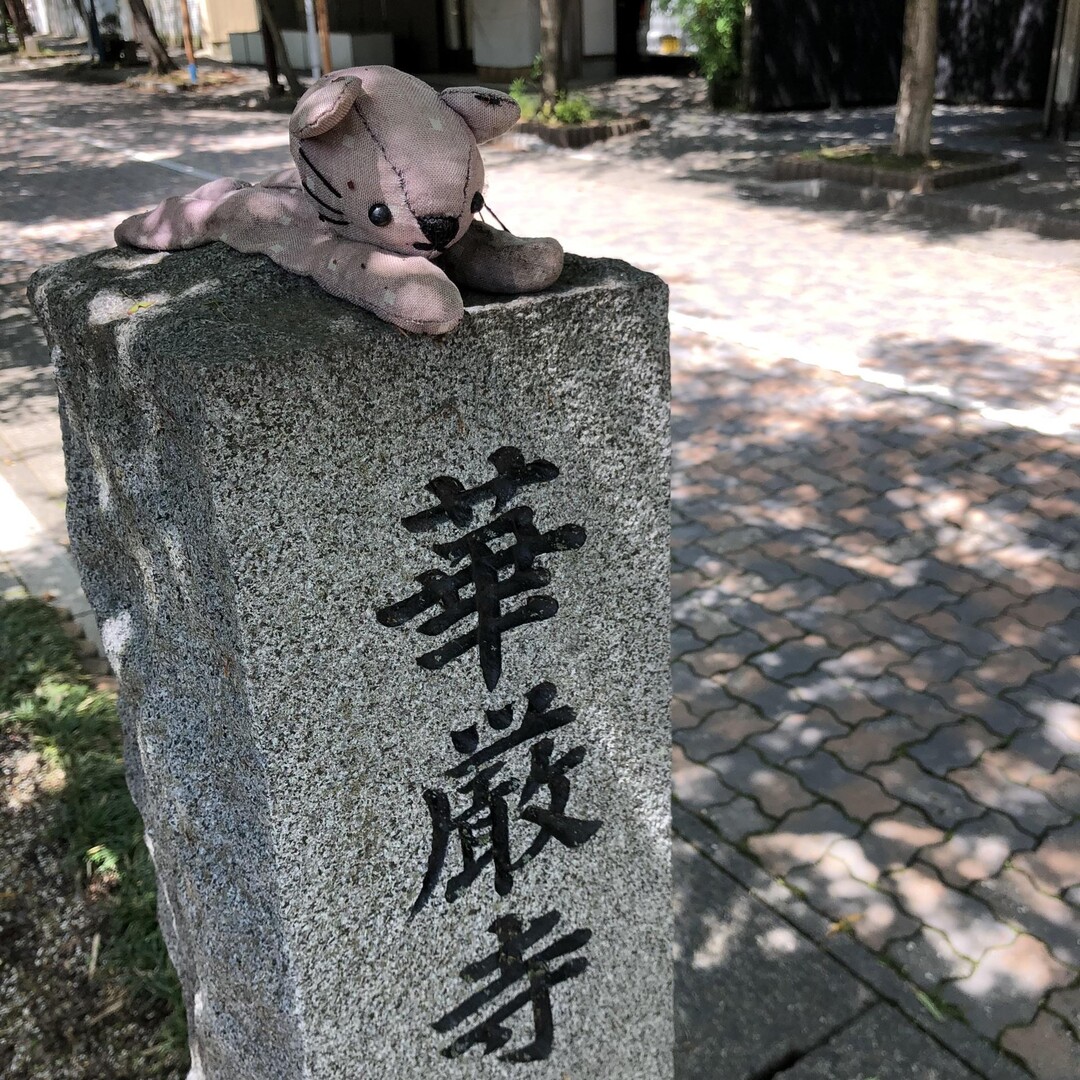 本日のかわいい / 纏リスさんのモーメント | YAMAP / ヤマップ