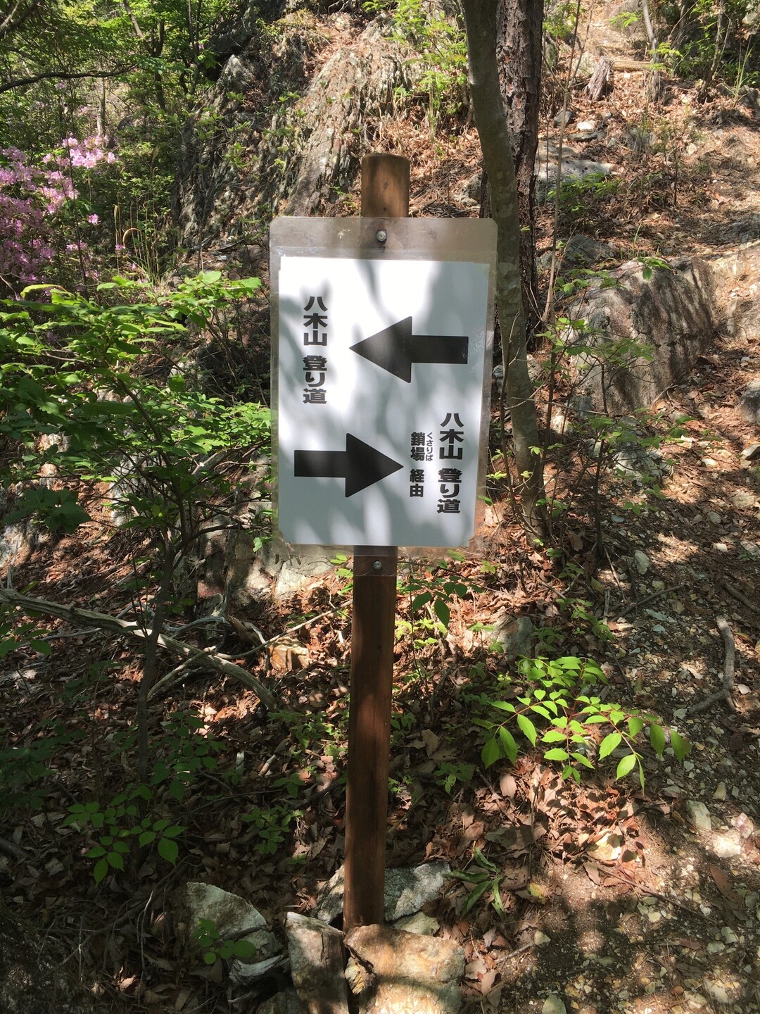 おくちゃんさんの投稿したフィールドメモ | YAMAP / ヤマップ