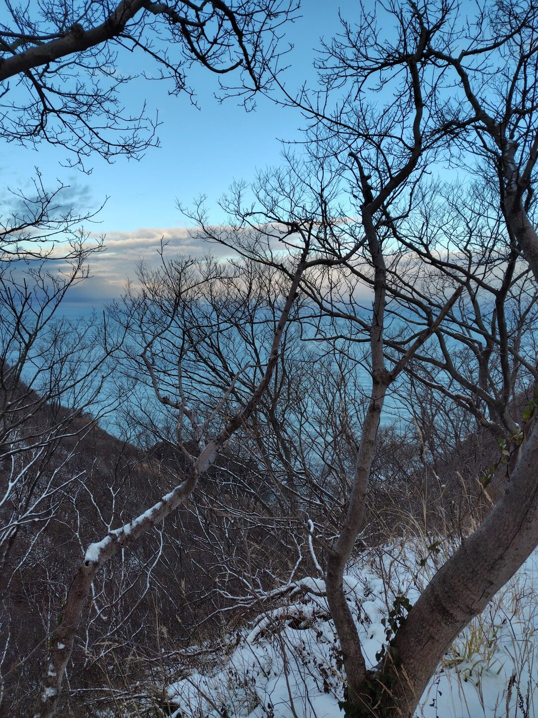 角田山-2025-01-05 / よしださんの角田山の活動データ | YAMAP / ヤマップ