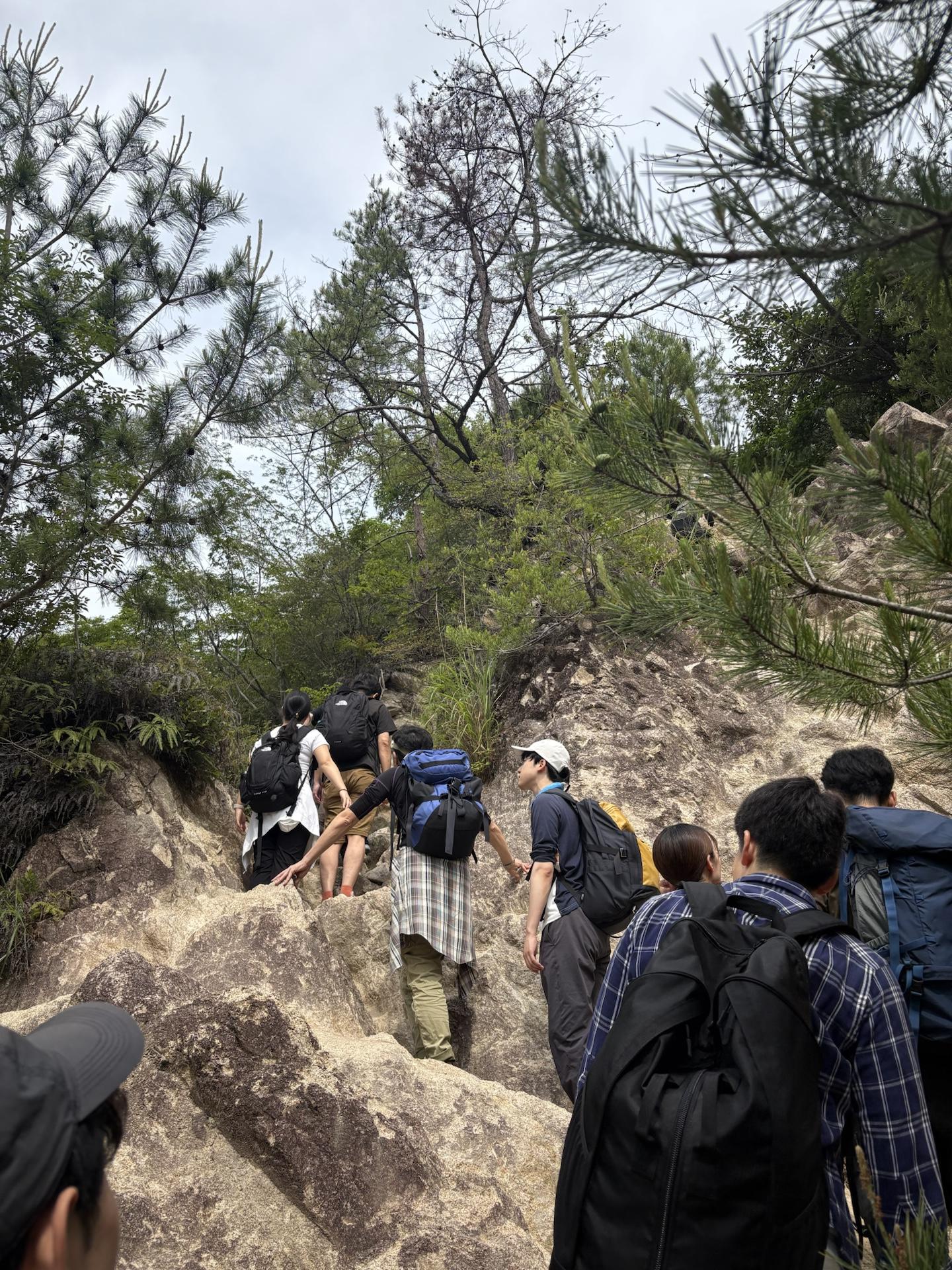 2025年3月31日（土） 六甲山 ... / ぱんのみみさんのモーメント | YAMAP / ヤマップ