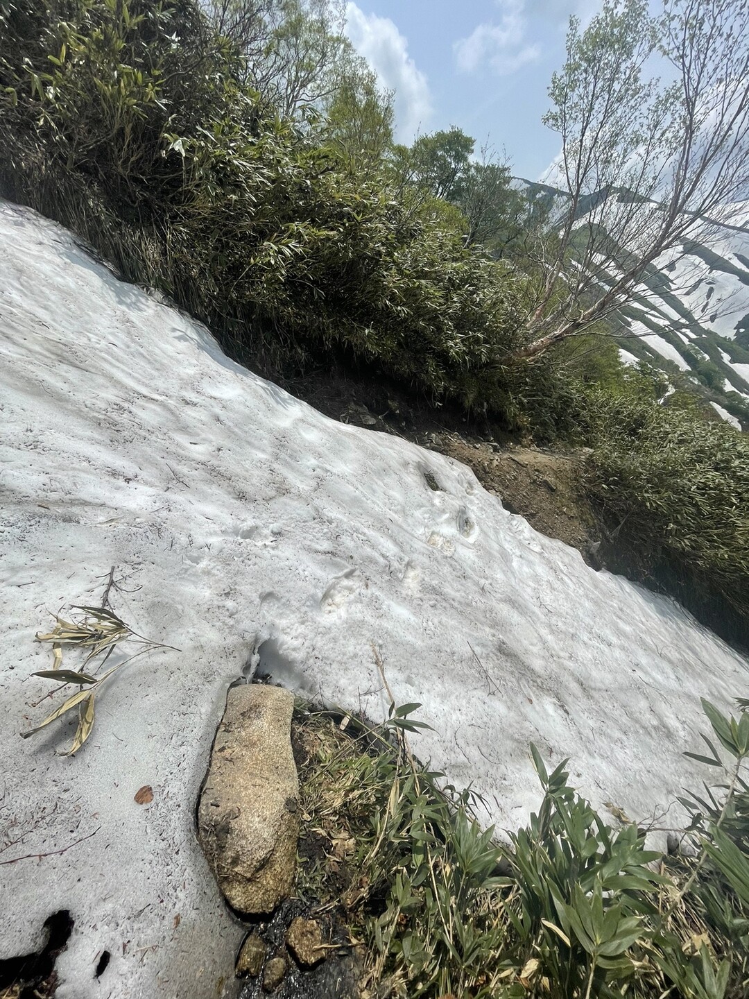 uapapaさんの投稿したフィールドメモ | YAMAP / ヤマップ