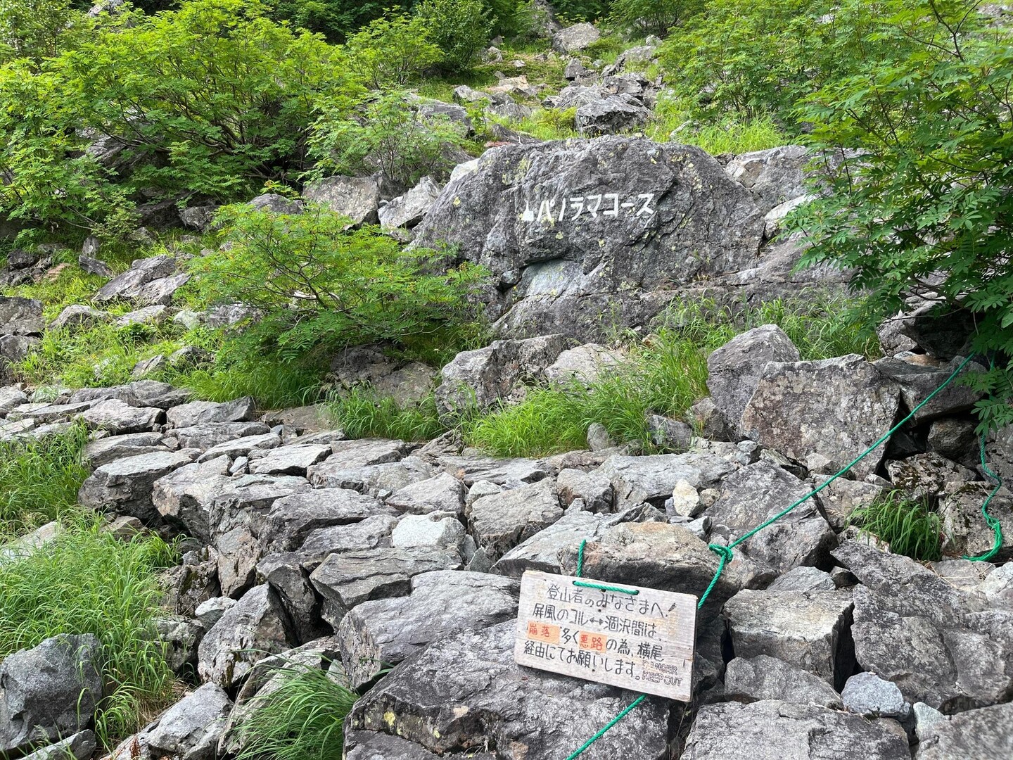 Meg Takaoさんの投稿したフィールドメモ | YAMAP / ヤマップ