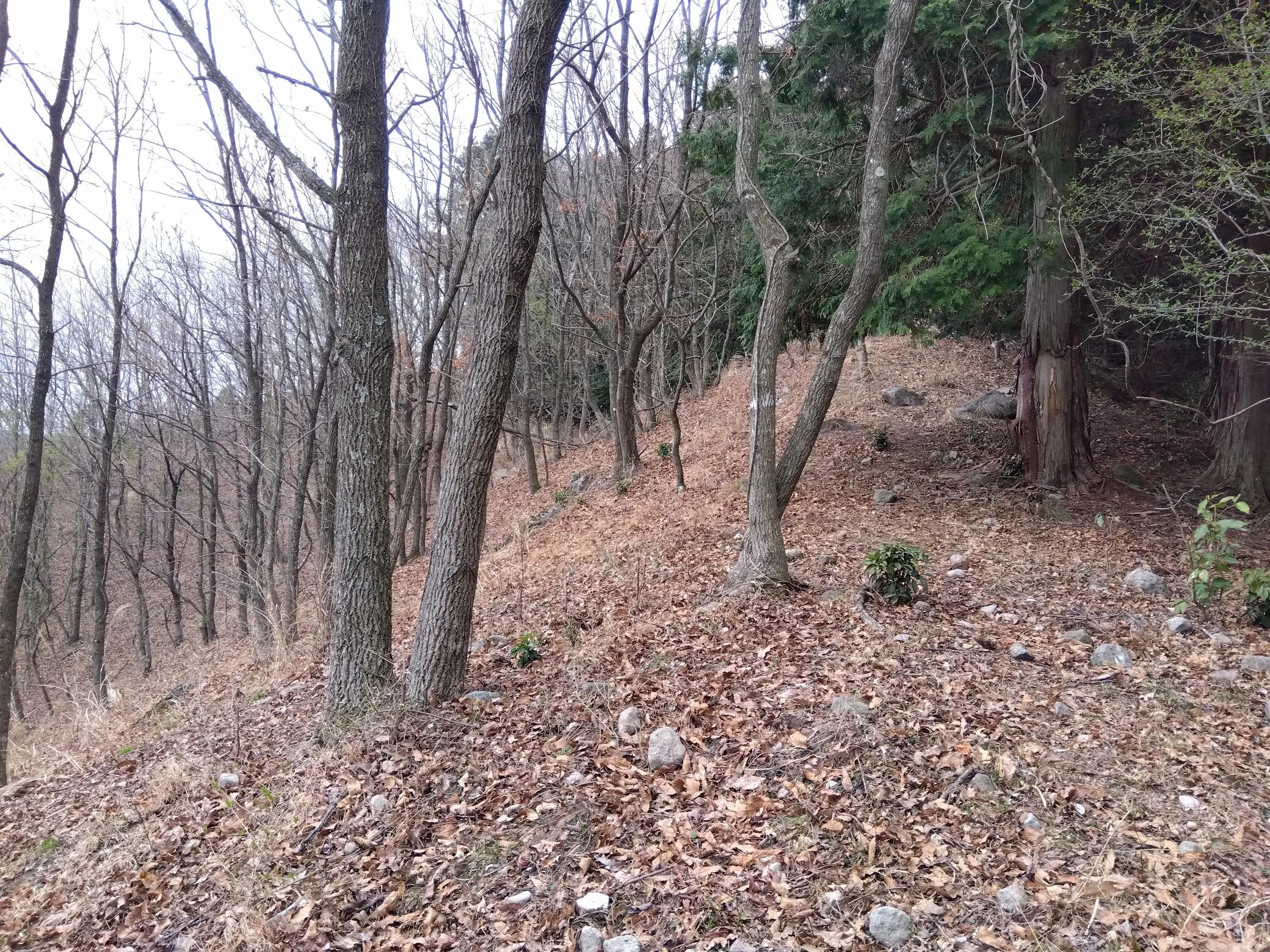 谷ヶ迫・蛇谷山 (国東60座) / senbu2(センブツ)さんの六郷満山（国東半島）の活動データ | YAMAP / ヤマップ