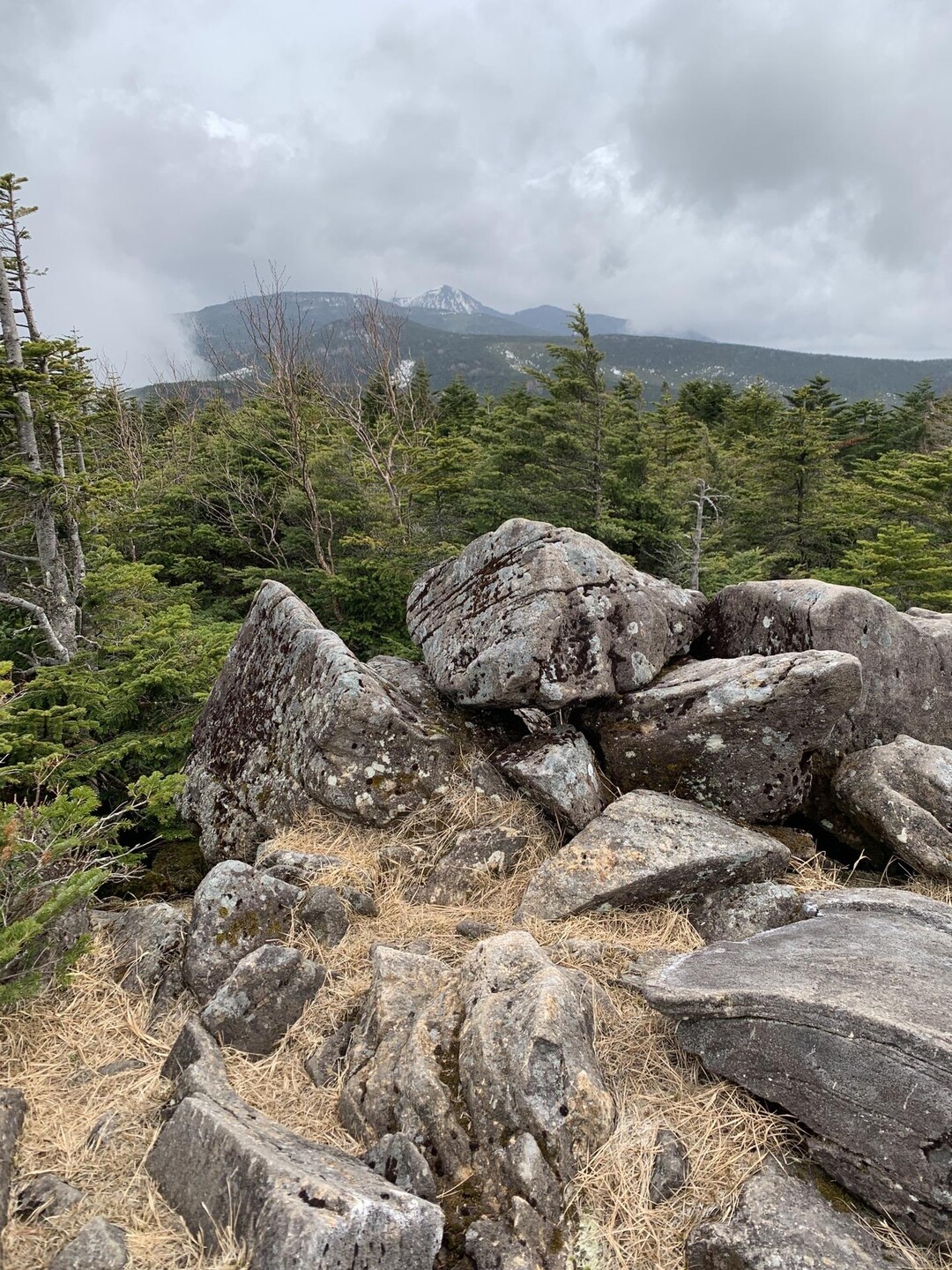 中小場・茶臼山 / cosuyaさんの蓼科山・横岳・縞枯山の活動データ | YAMAP / ヤマップ