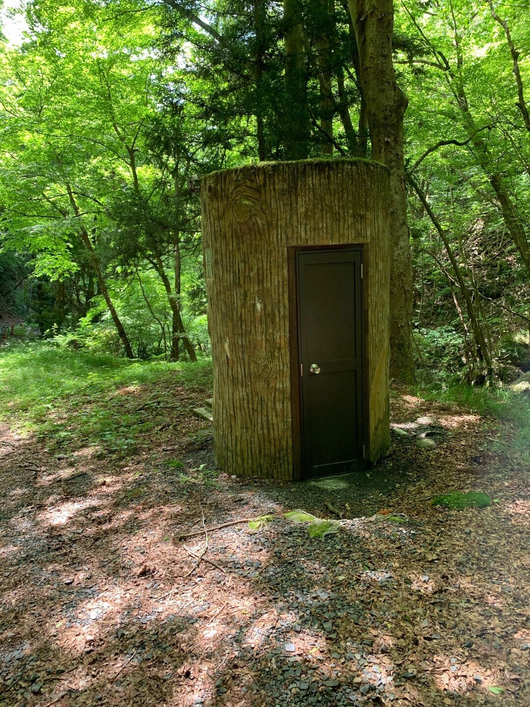 tz_sskさんの投稿したフィールドメモ | YAMAP / ヤマップ