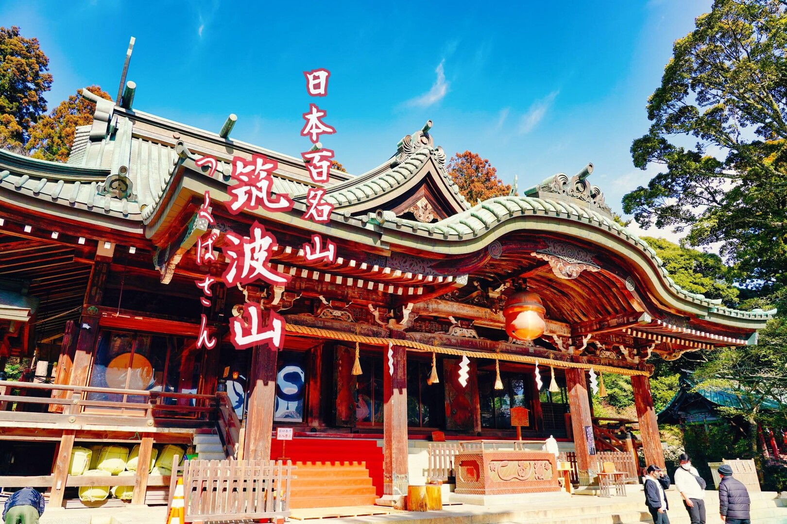 春近し晩冬の筑波山⛰️ / Riot Kさんの筑波山の活動データ | YAMAP / ヤマップ