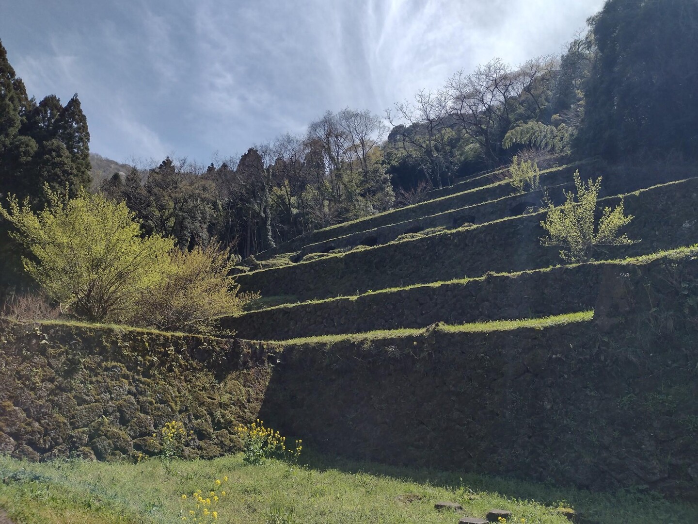 仙山(石見銀山散策) / taizo-sさんの石見銀山（仙山・仙ノ山）・大江高山の活動データ | YAMAP / ヤマップ