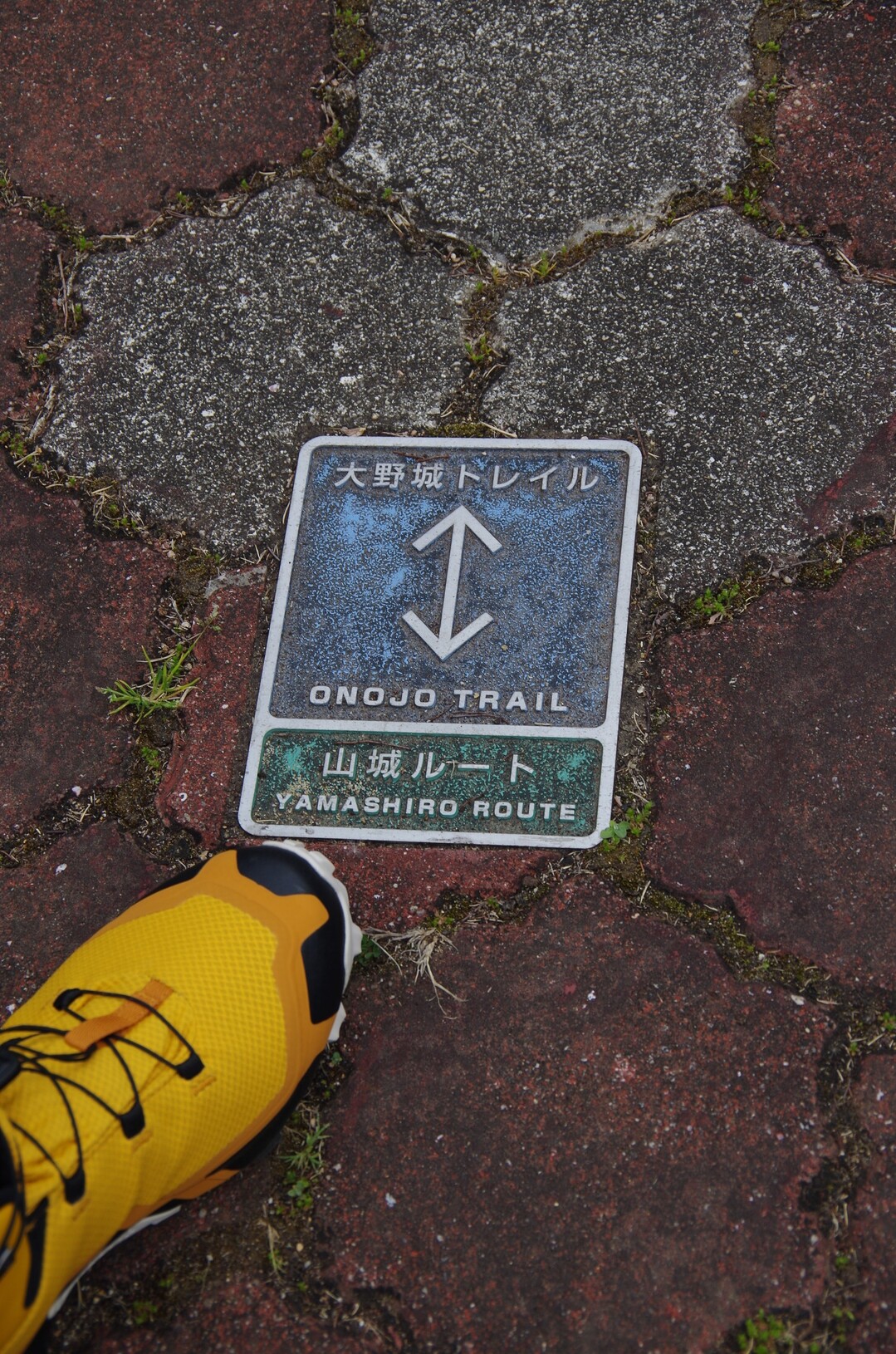 11日ぶりの山活はホームマウンテン⛰ 〜ギータ⚾を見逃した〜 / neyさんの四王寺山・大城山・大原山の活動データ | YAMAP / ヤマップ